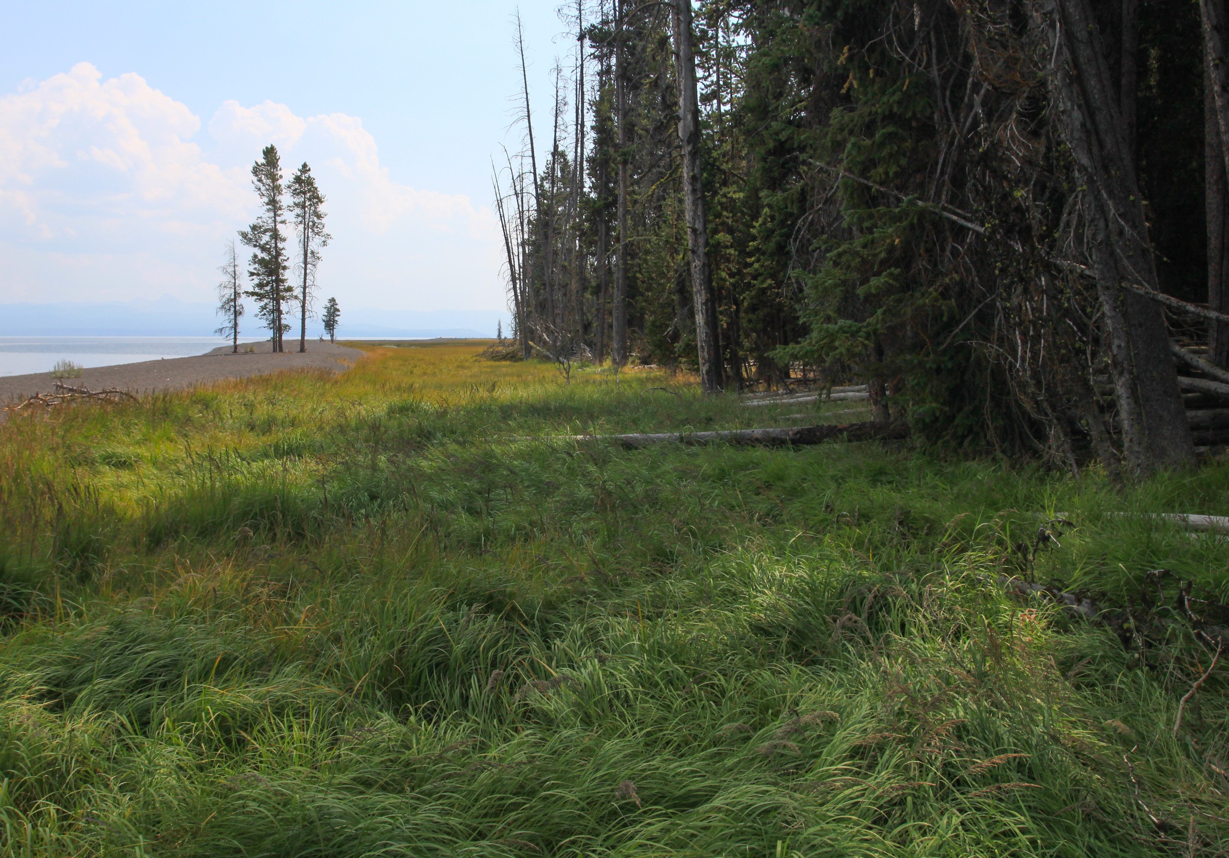 Sand Point | Natural Atlas