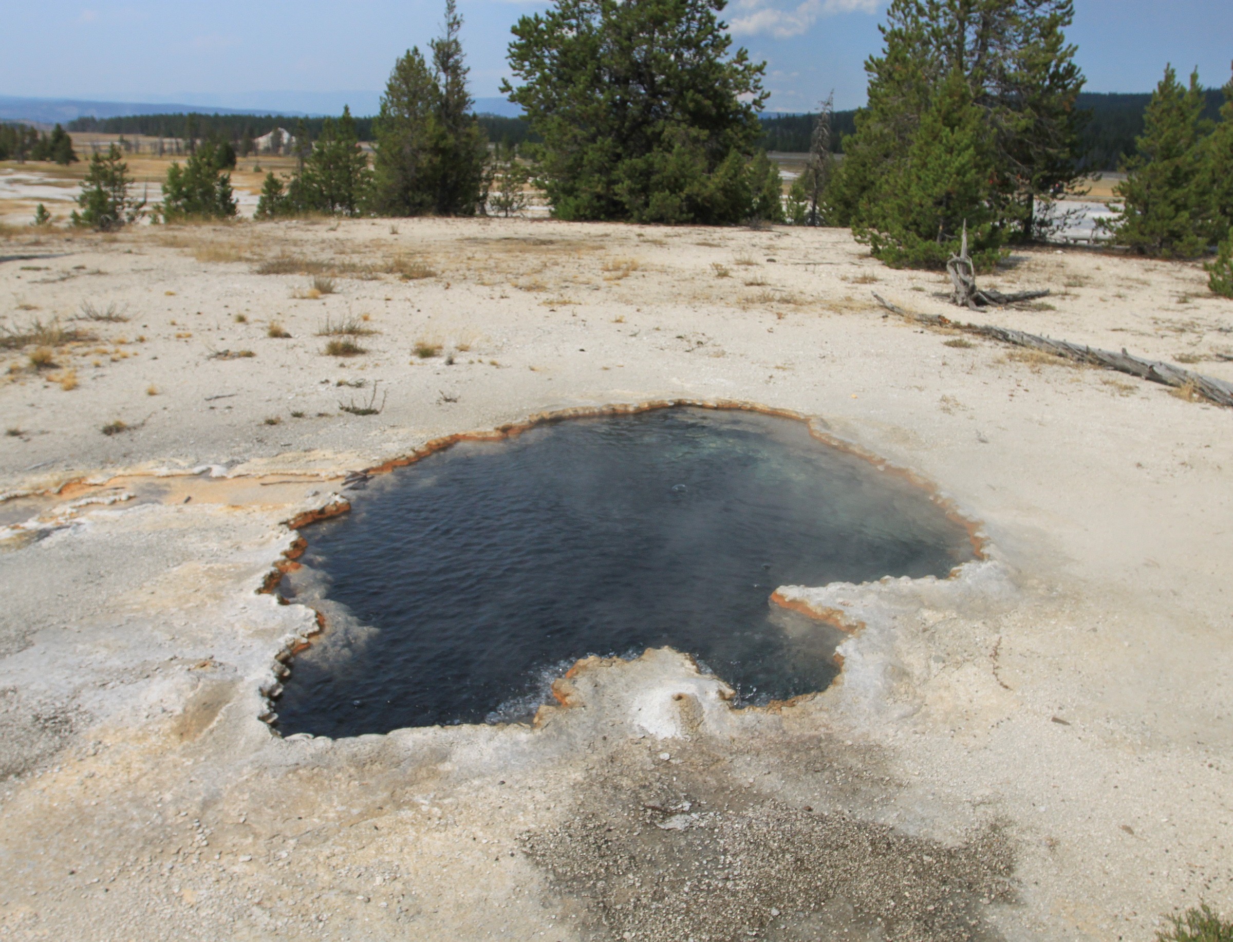 Surprise Pool | Natural Atlas