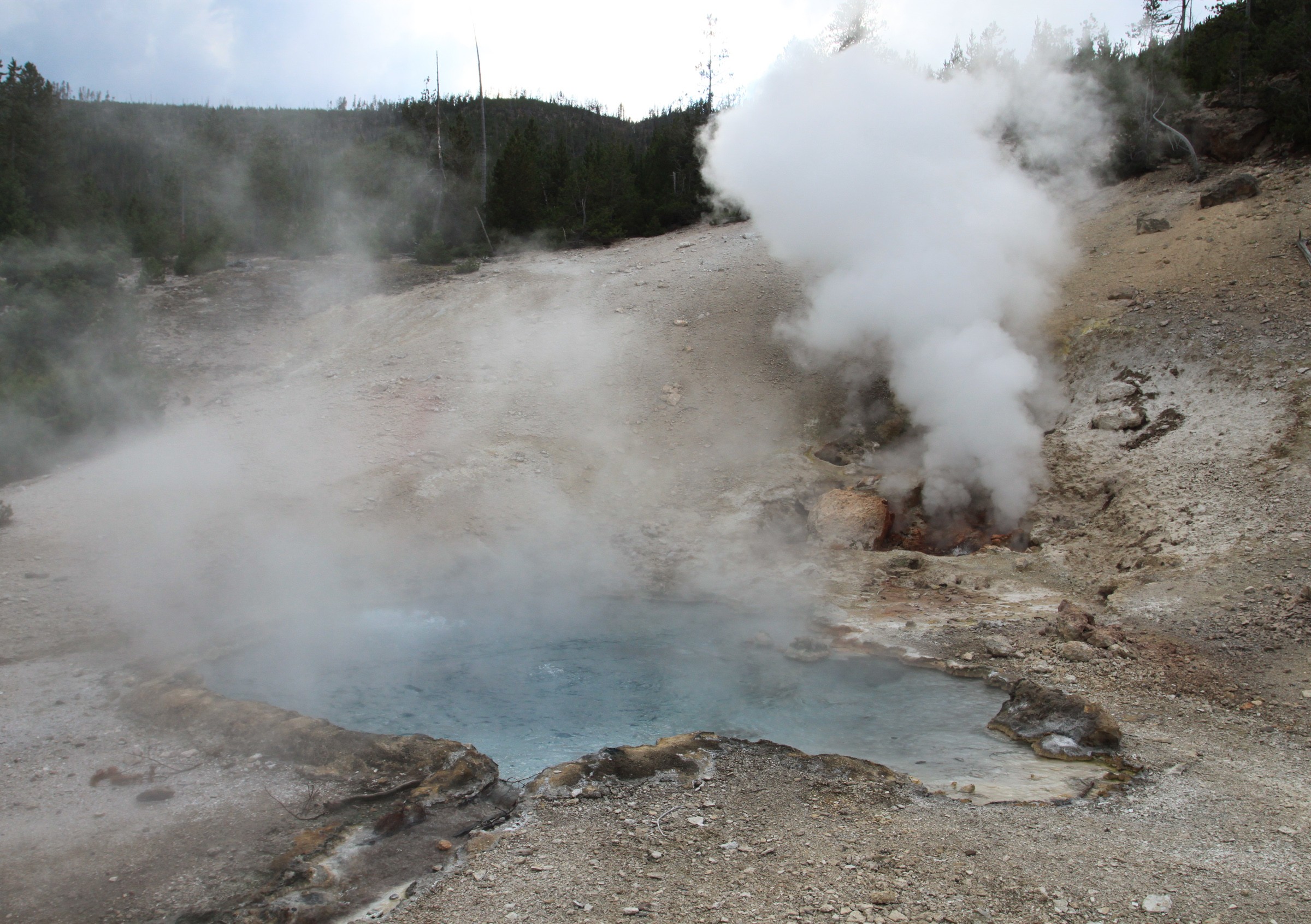 Beryl Spring | Natural Atlas