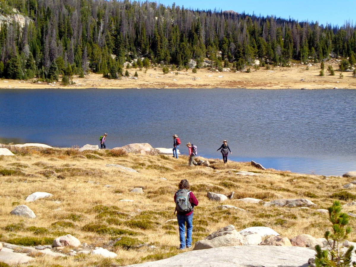 Shoshone National Forest Map – Natural Atlas