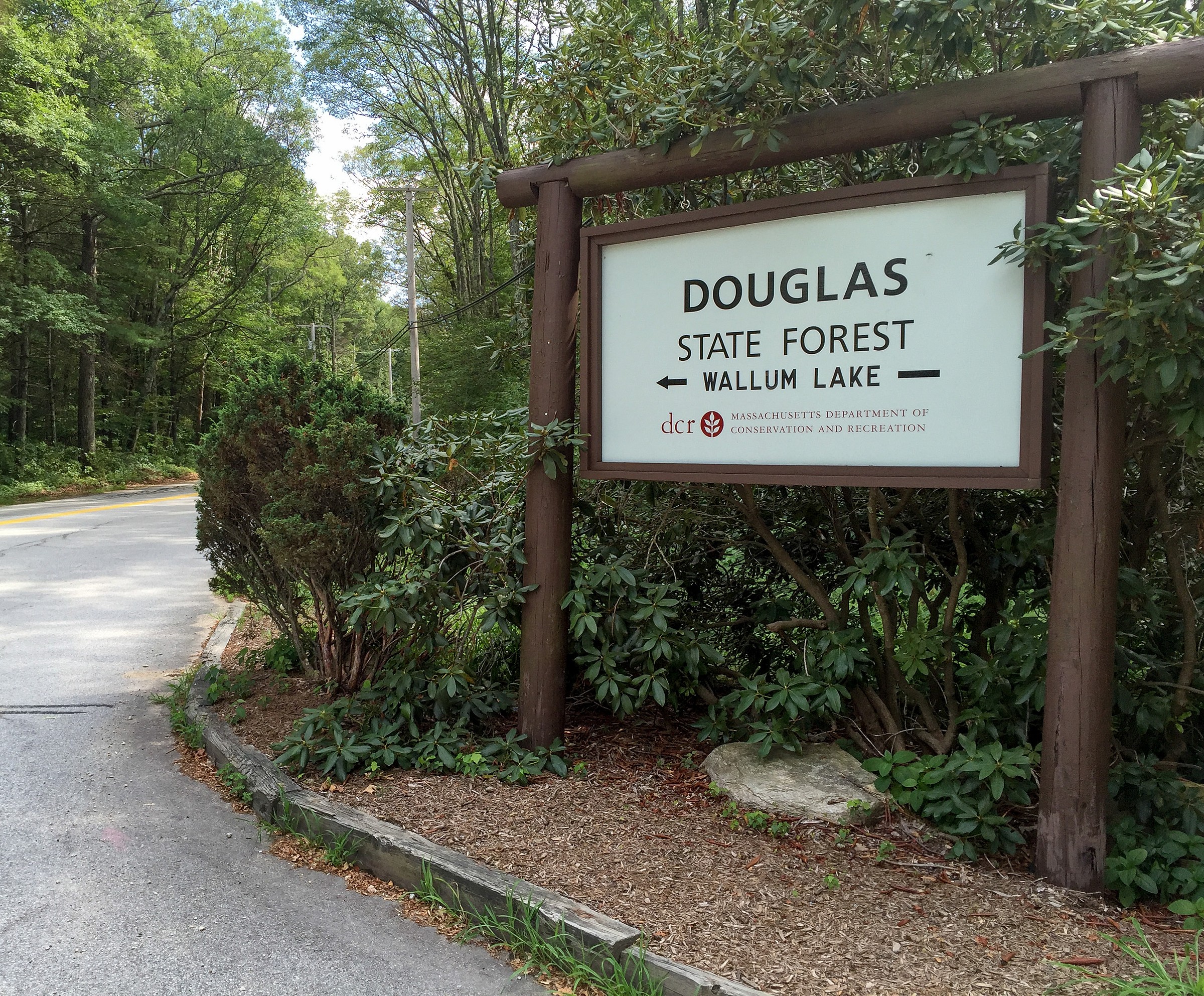Douglas State Forest | Natural Atlas