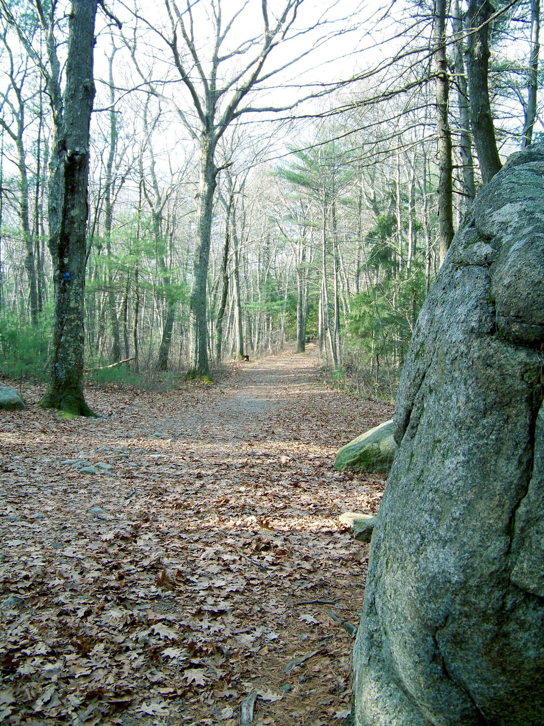 F. Gilbert Hills State Forest | Natural Atlas