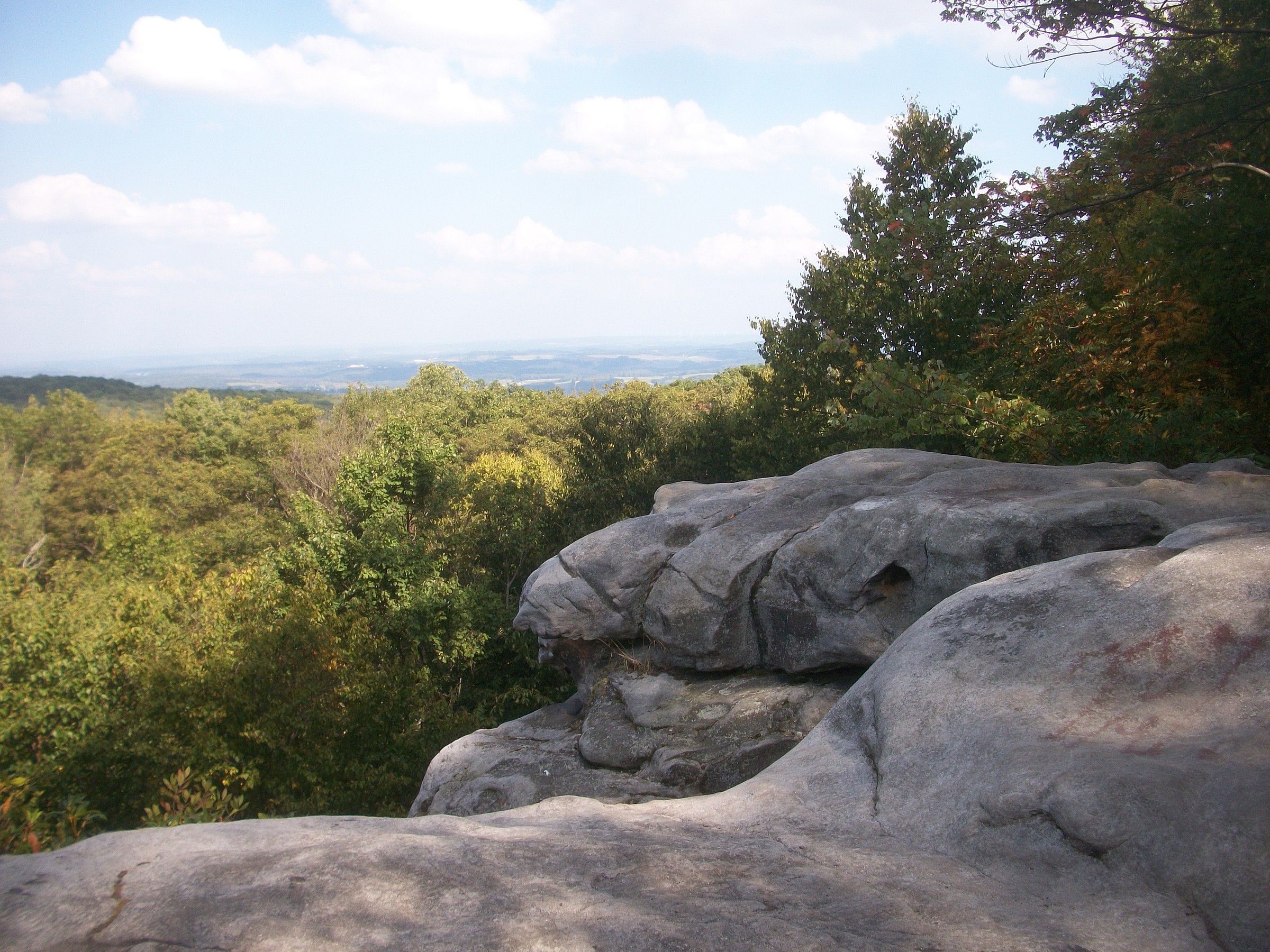 Forbes State Forest | Natural Atlas