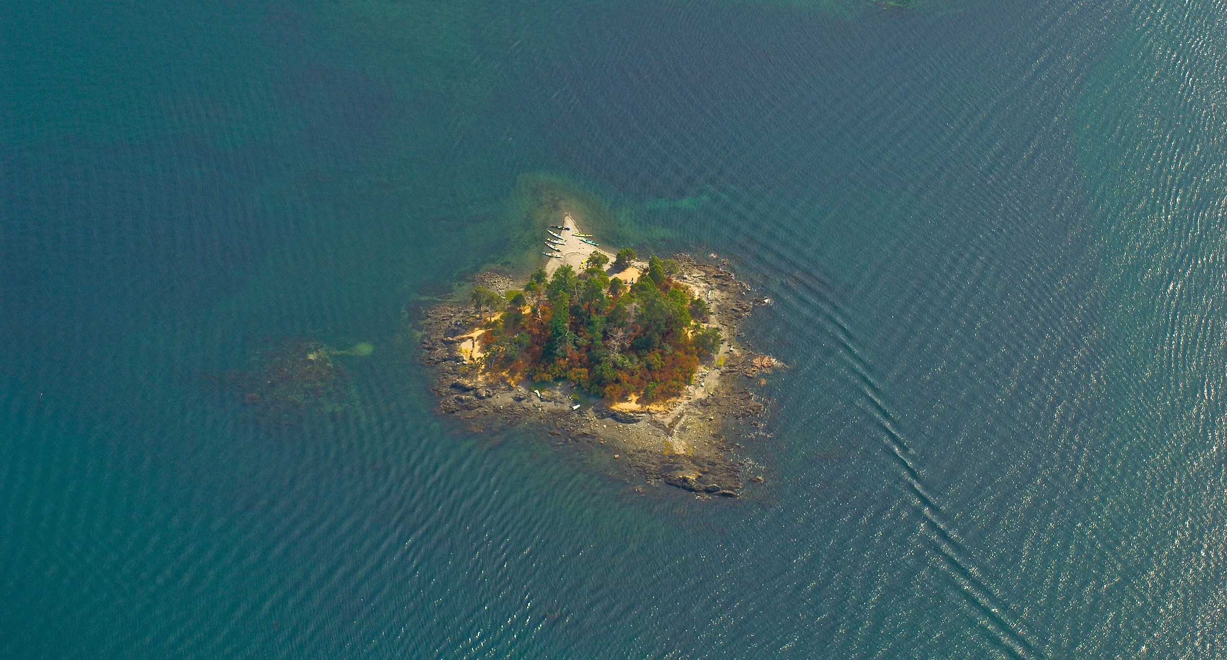 Posey Island Cascadia Marine Trail Campsite | Natural Atlas