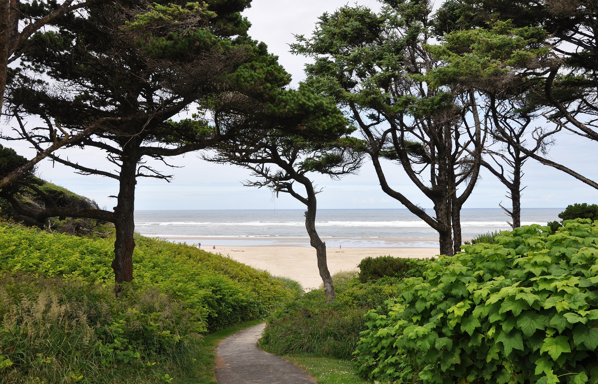 Governor Patterson Memorial State Recreation Site | Natural Atlas