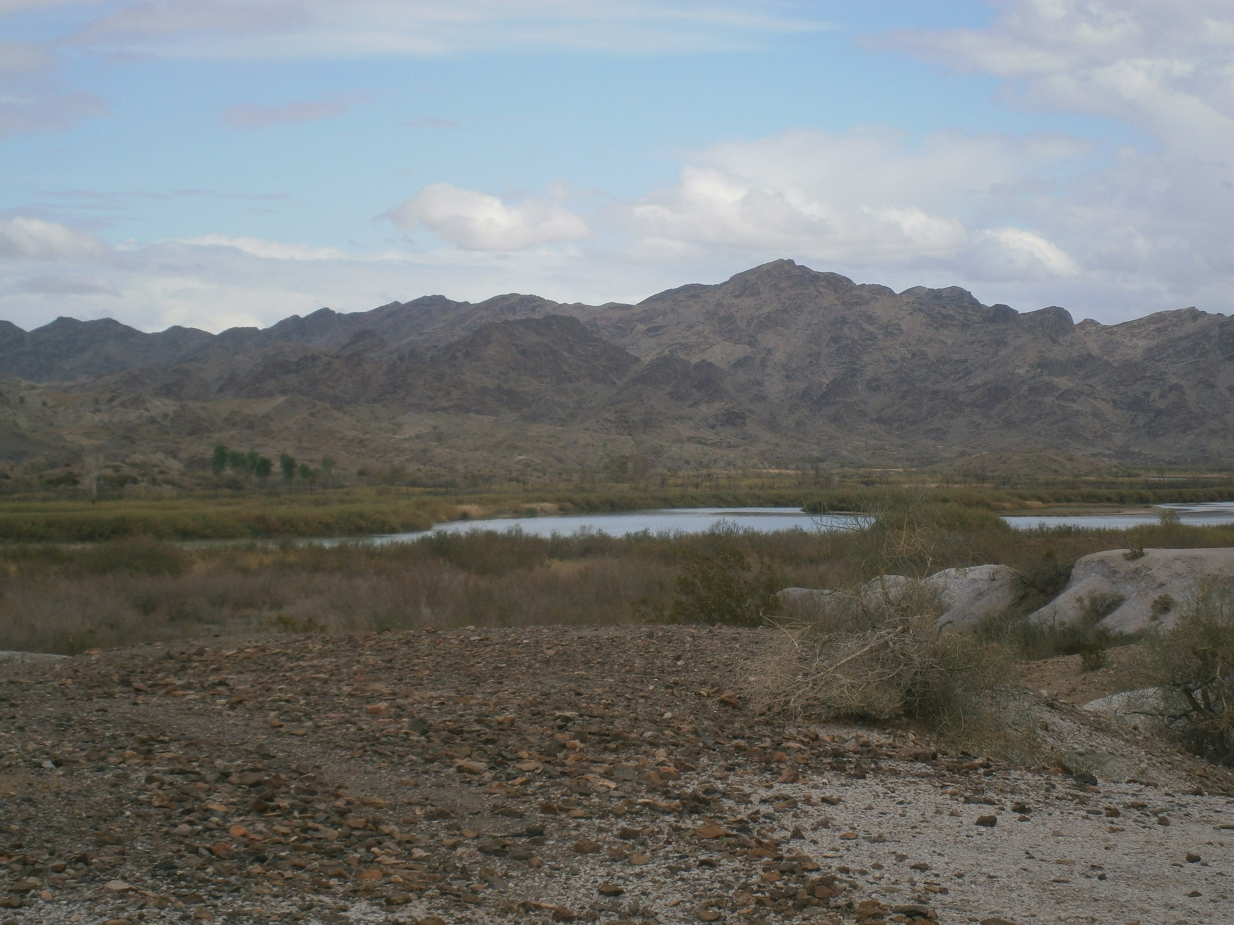 Picacho State Recreation Area | Natural Atlas
