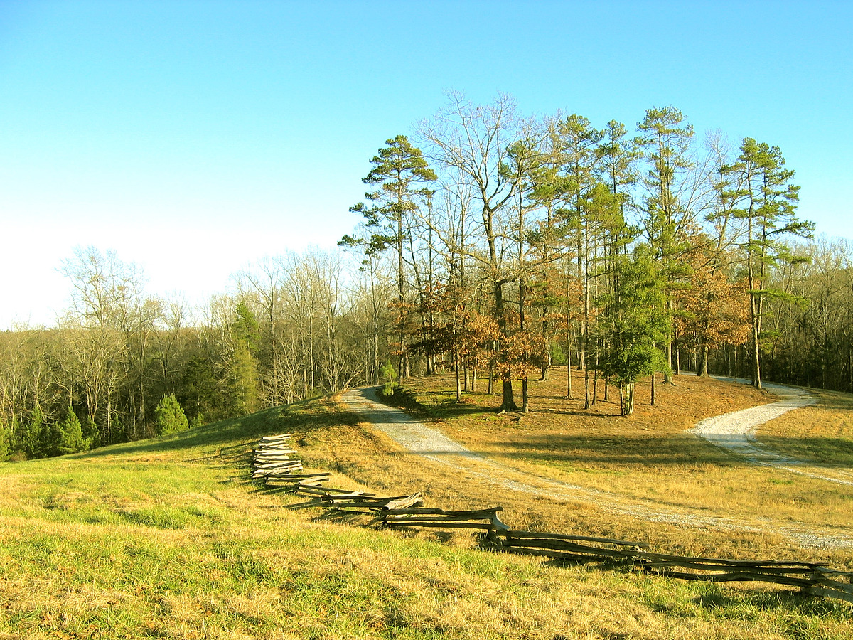 Battle of Blackstock’s Historic Site | Natural Atlas