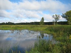 Mille Lacs Reservation Map – Isle, MN – Natural Atlas
