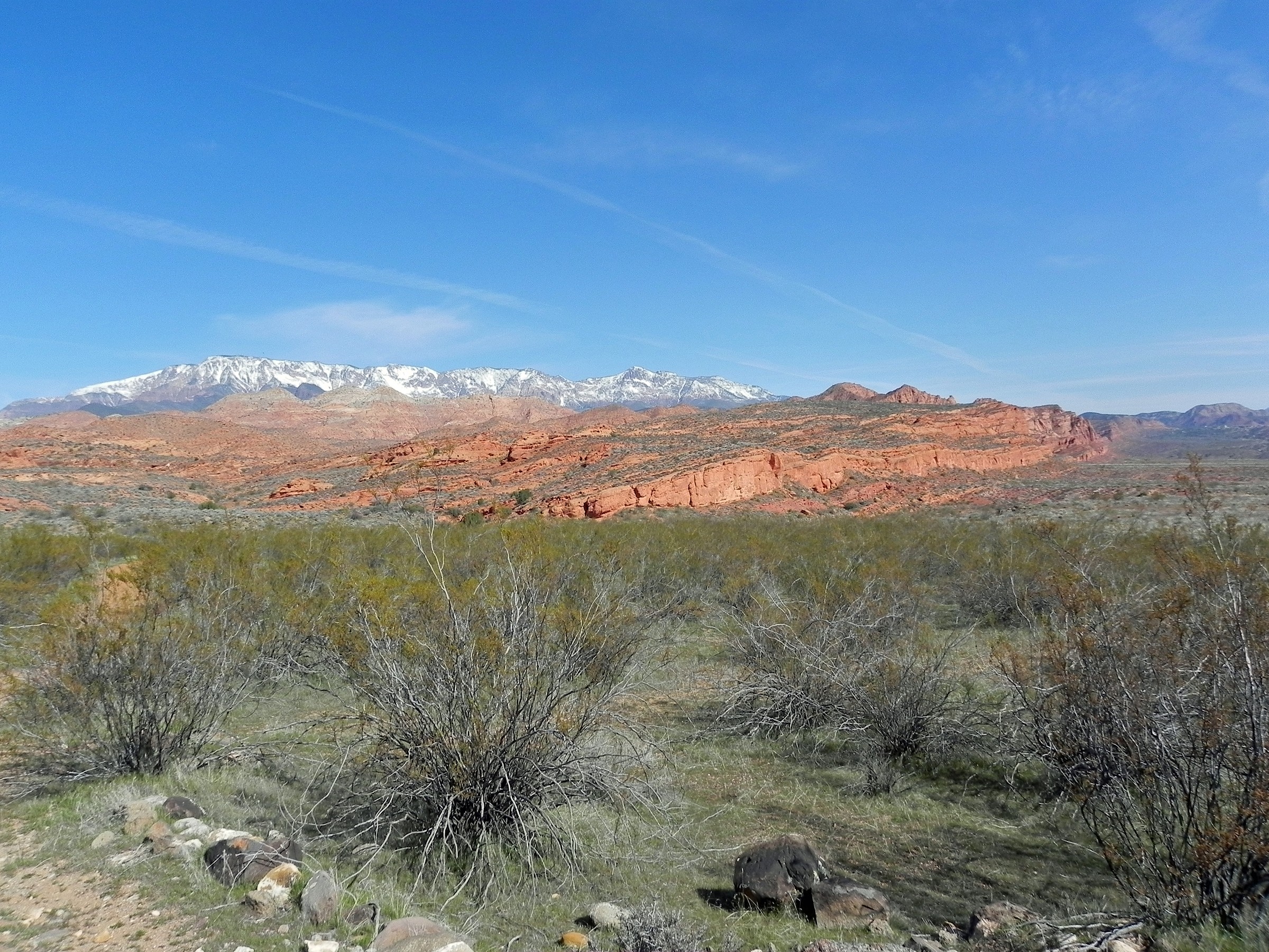 Red Cliffs National Conservation Area | Natural Atlas