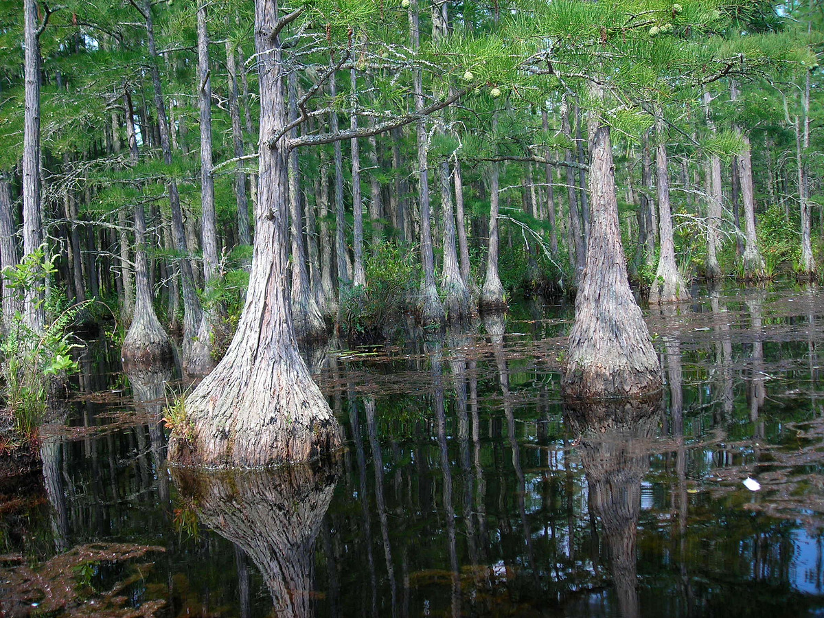 Goodale State Park | Natural Atlas
