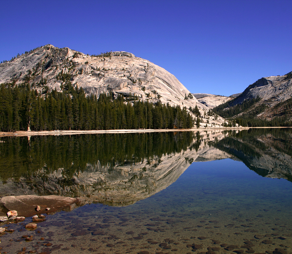Tenaya Lake | Natural Atlas