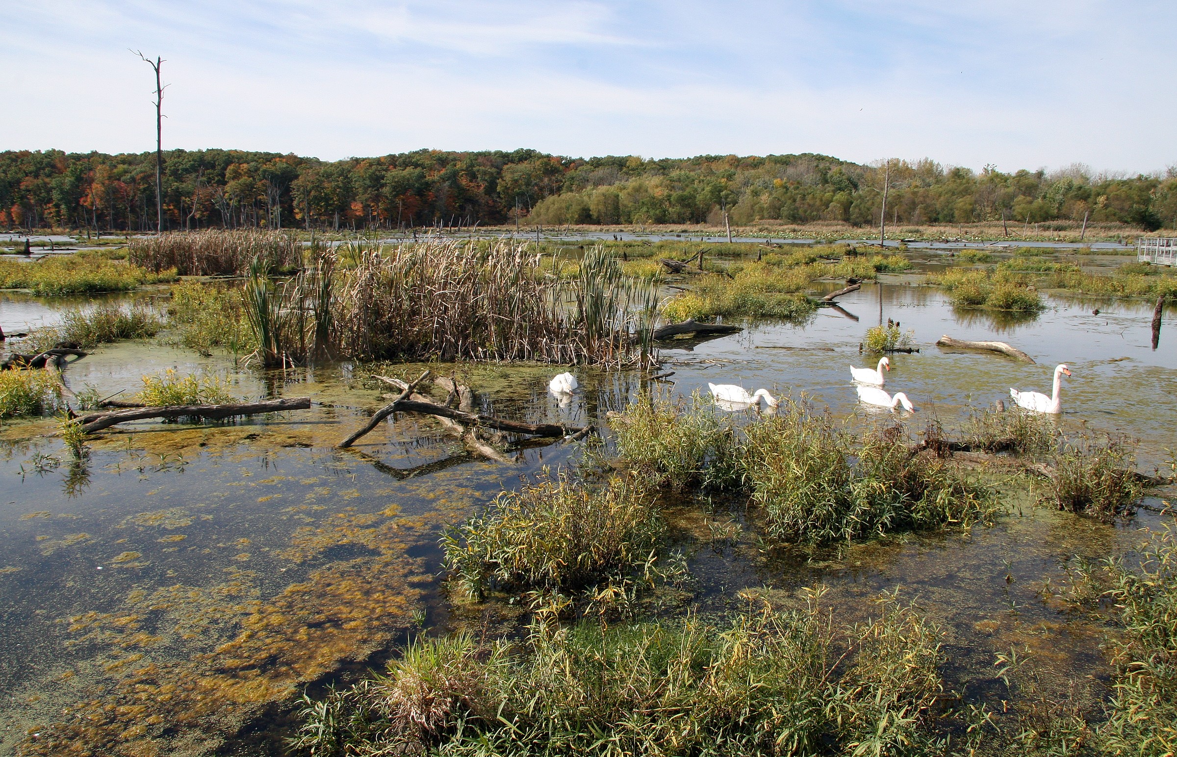 Lake Vermilion | Natural Atlas