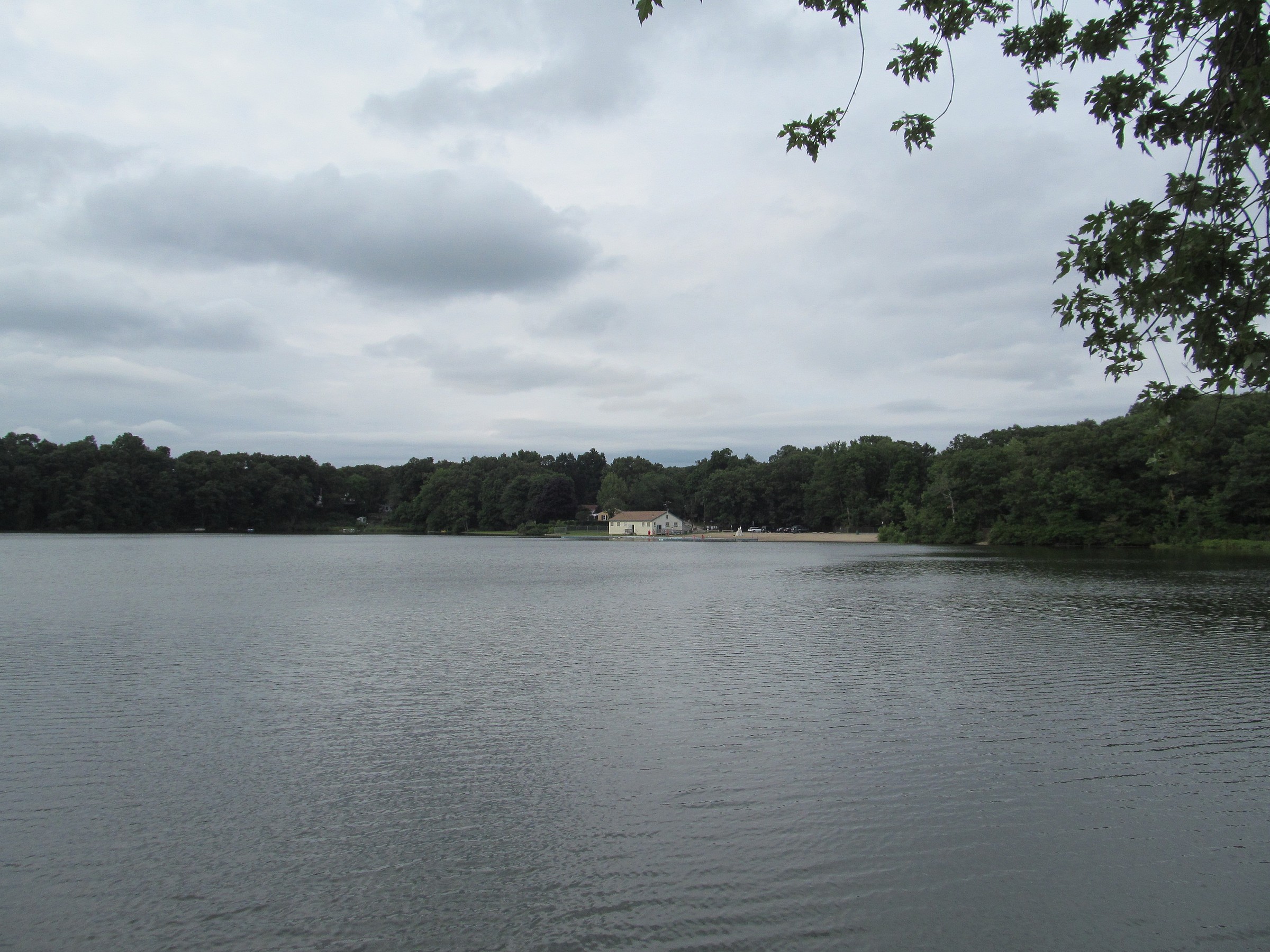 Learned Pond | Natural Atlas