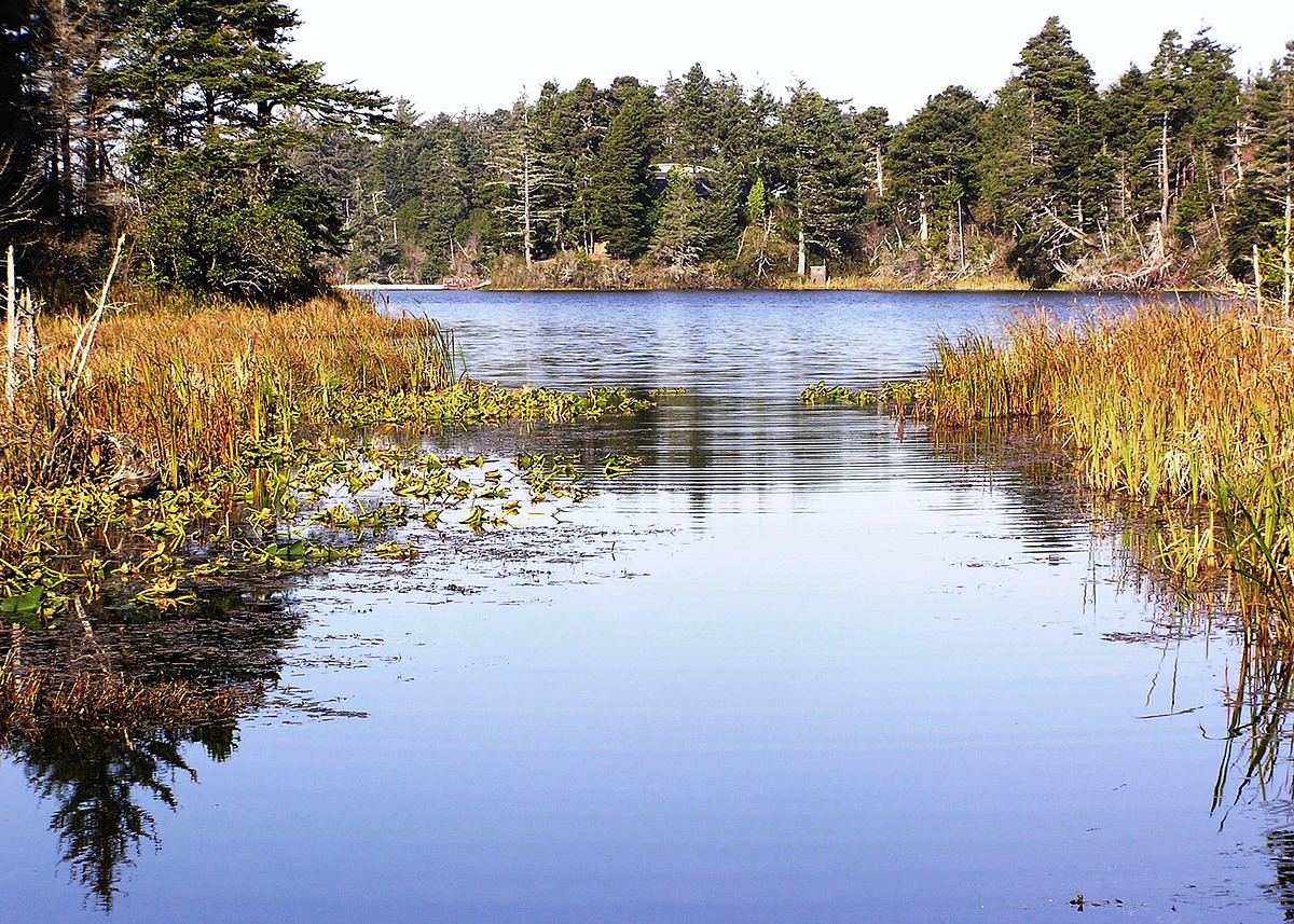 Bradley Lake | Natural Atlas