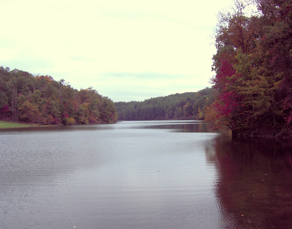 Greenbo Lake State Park Map, KY – Natural Atlas