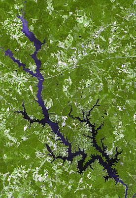 Oconee National Forest Map – Natural Atlas