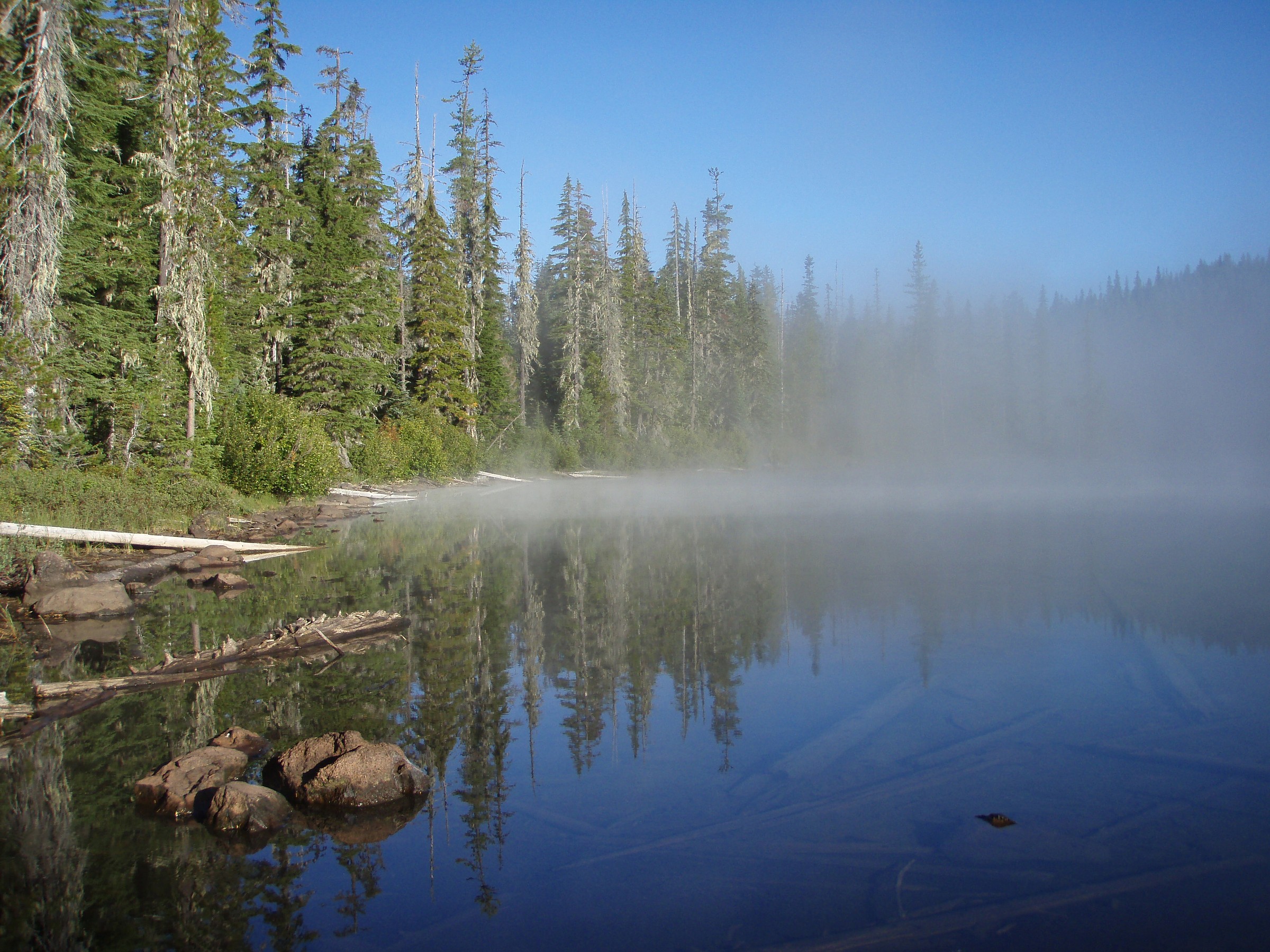 Mink Lake | Natural Atlas