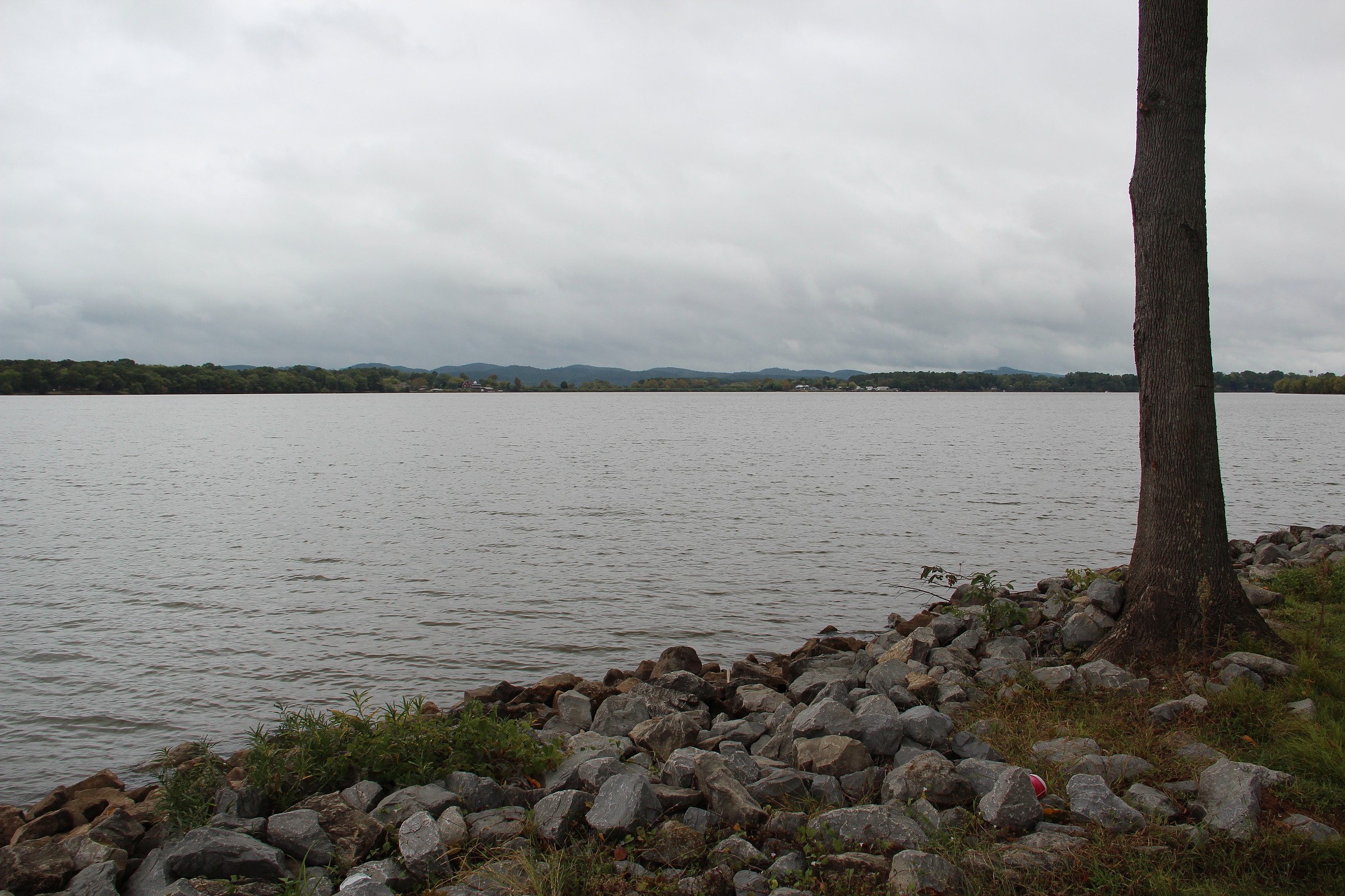 Weiss Lake | Natural Atlas