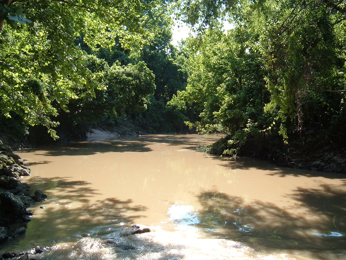 Buffalo Bayou | Natural Atlas