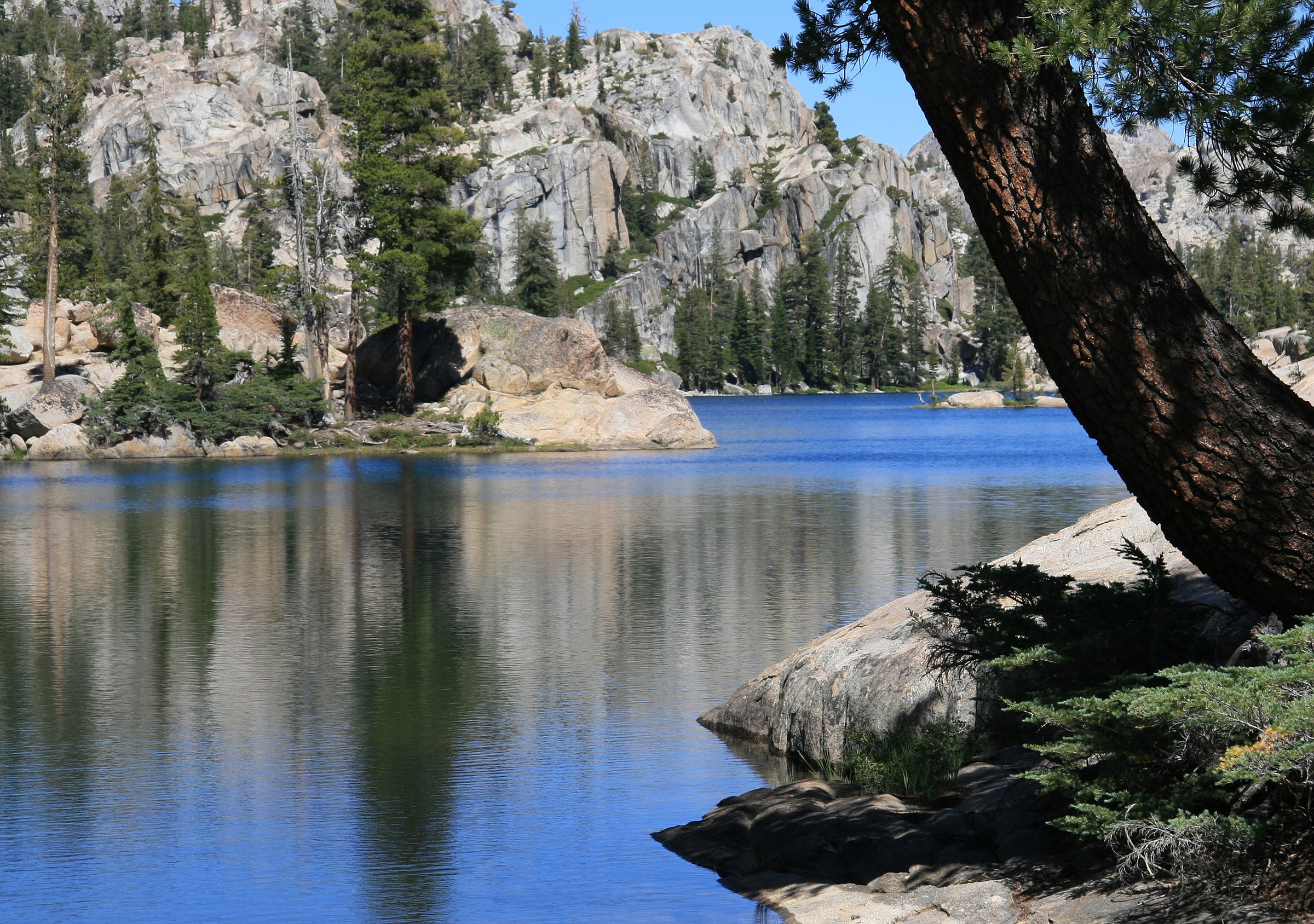 Emigrant Wilderness | Natural Atlas