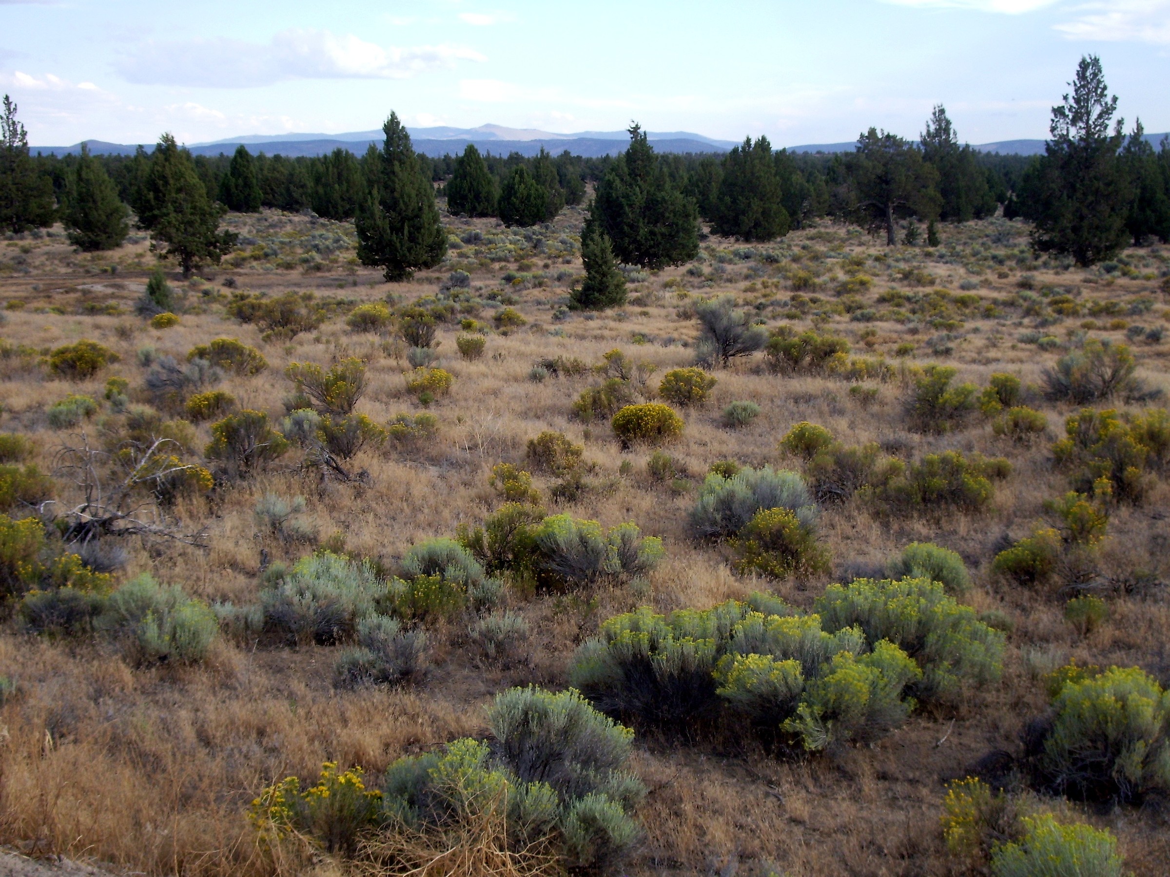 Oregon Badlands Wilderness | Natural Atlas