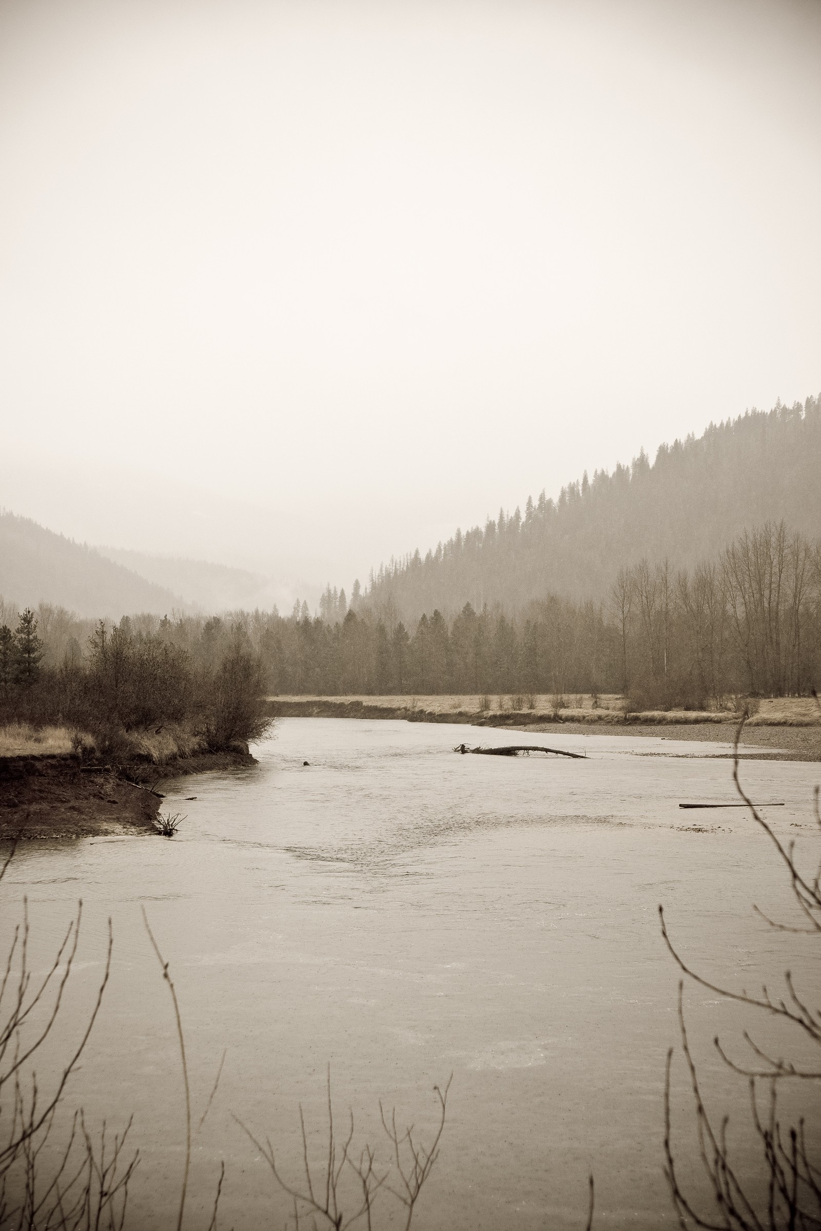 Saint Joe River | Natural Atlas