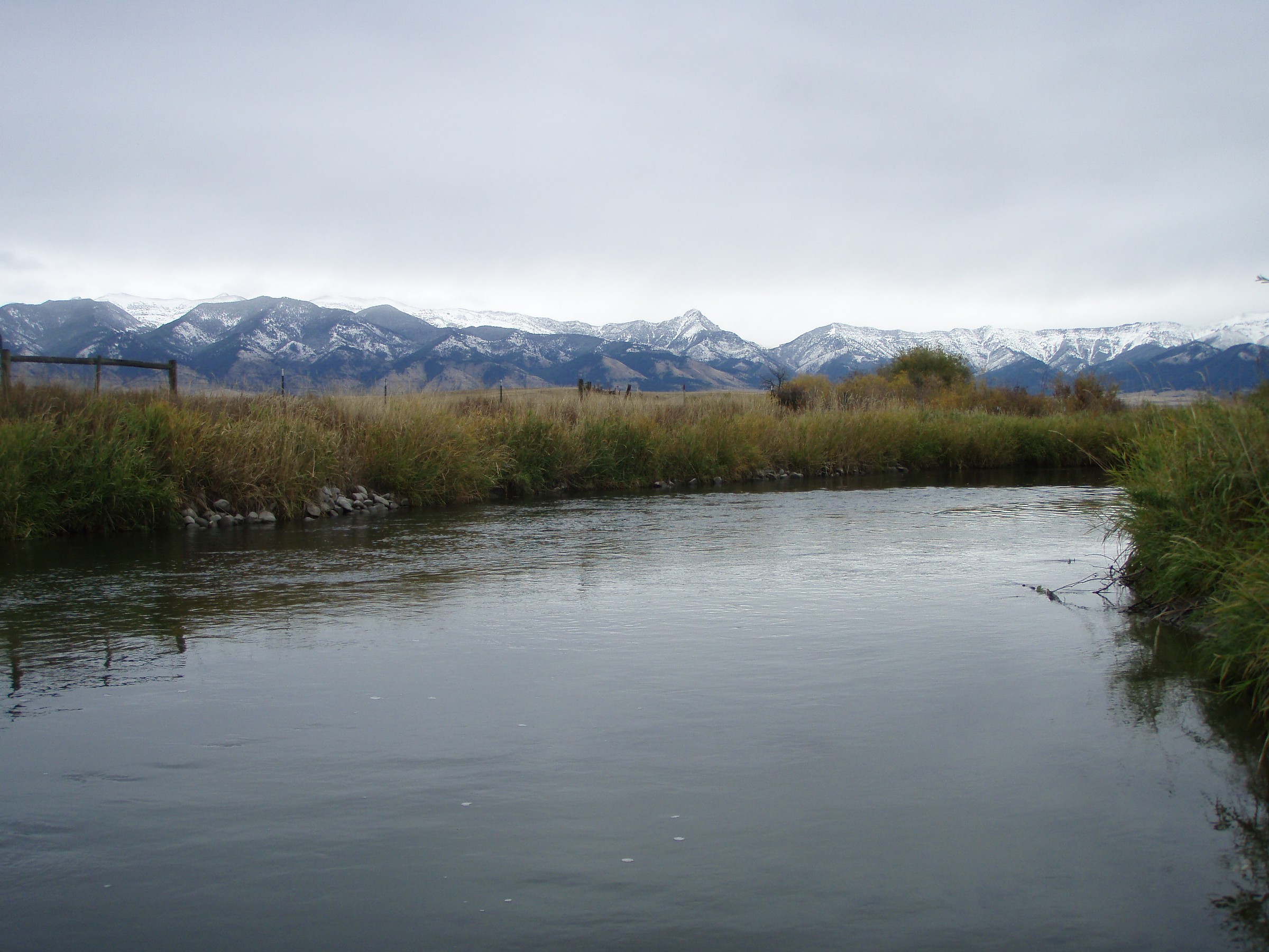 East Gallatin River | Natural Atlas