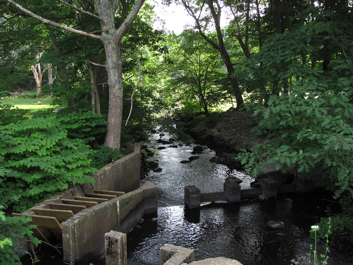 Acushnet Cedar Swamp State Reservation Map, MA – Natural Atlas