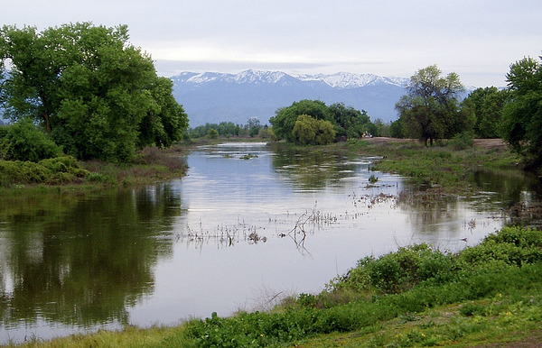 Saint Johns River | Natural Atlas