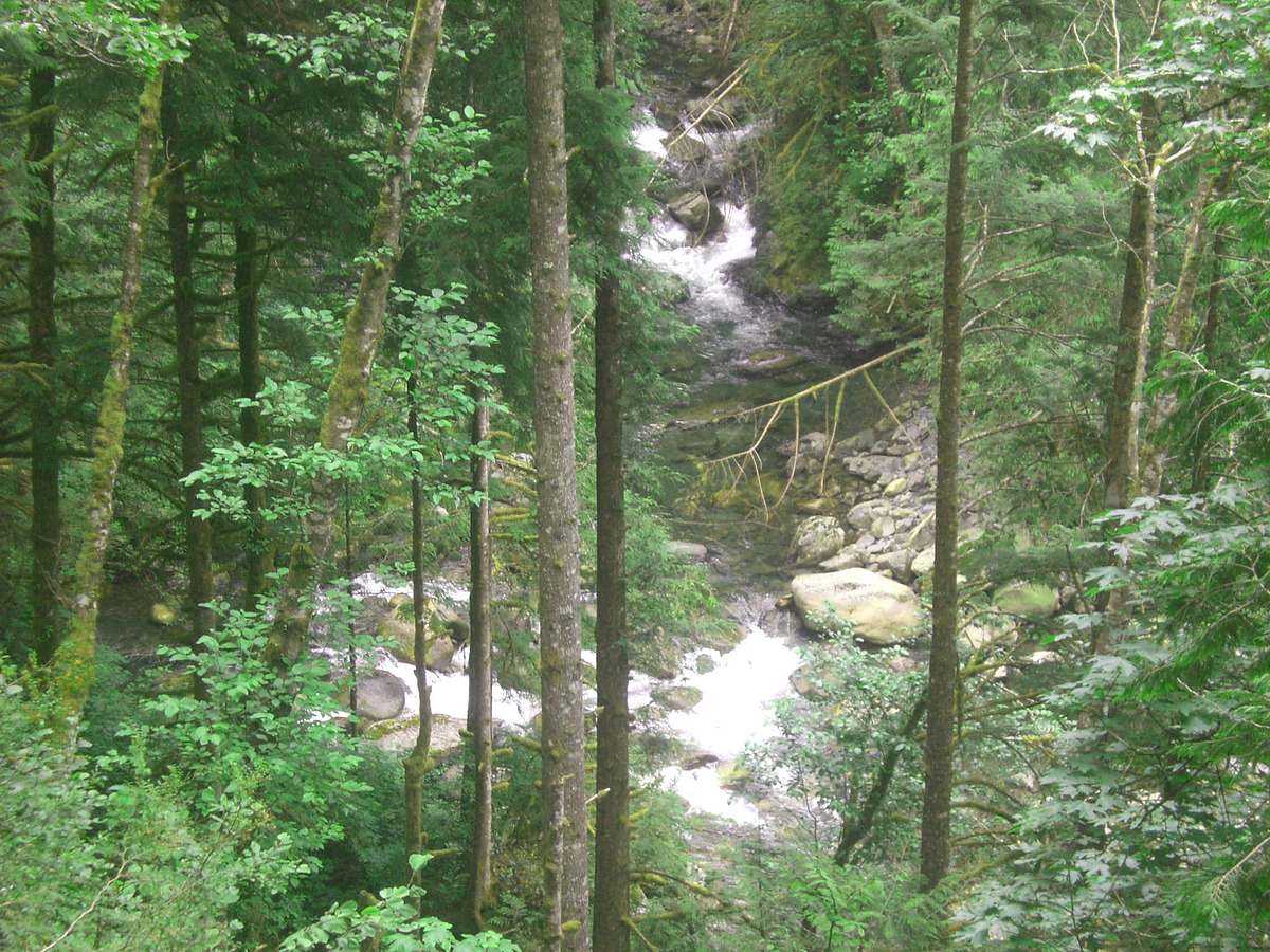 Wallace River | Natural Atlas