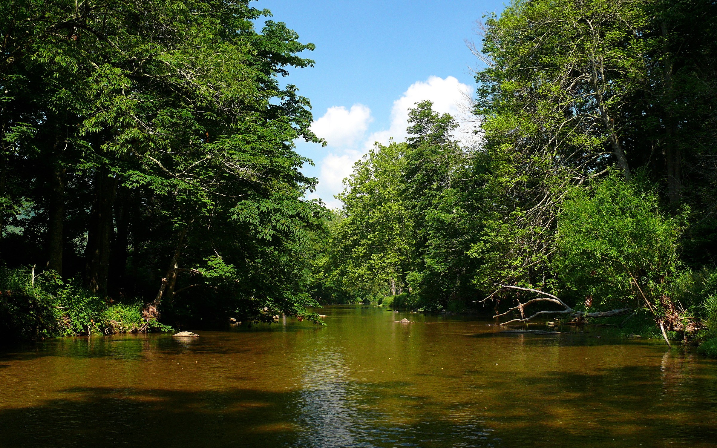 Watauga River | Natural Atlas