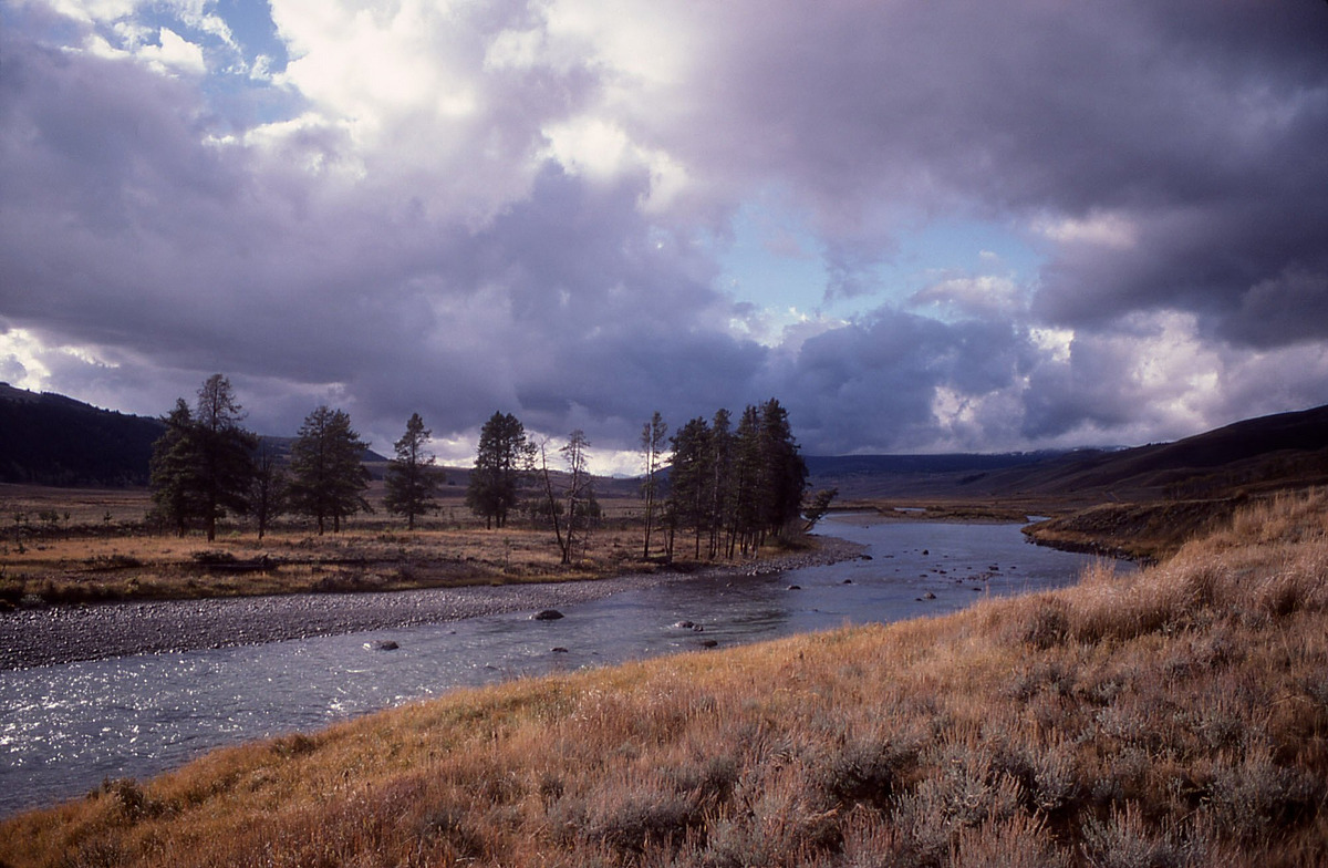 Lamar River | Natural Atlas