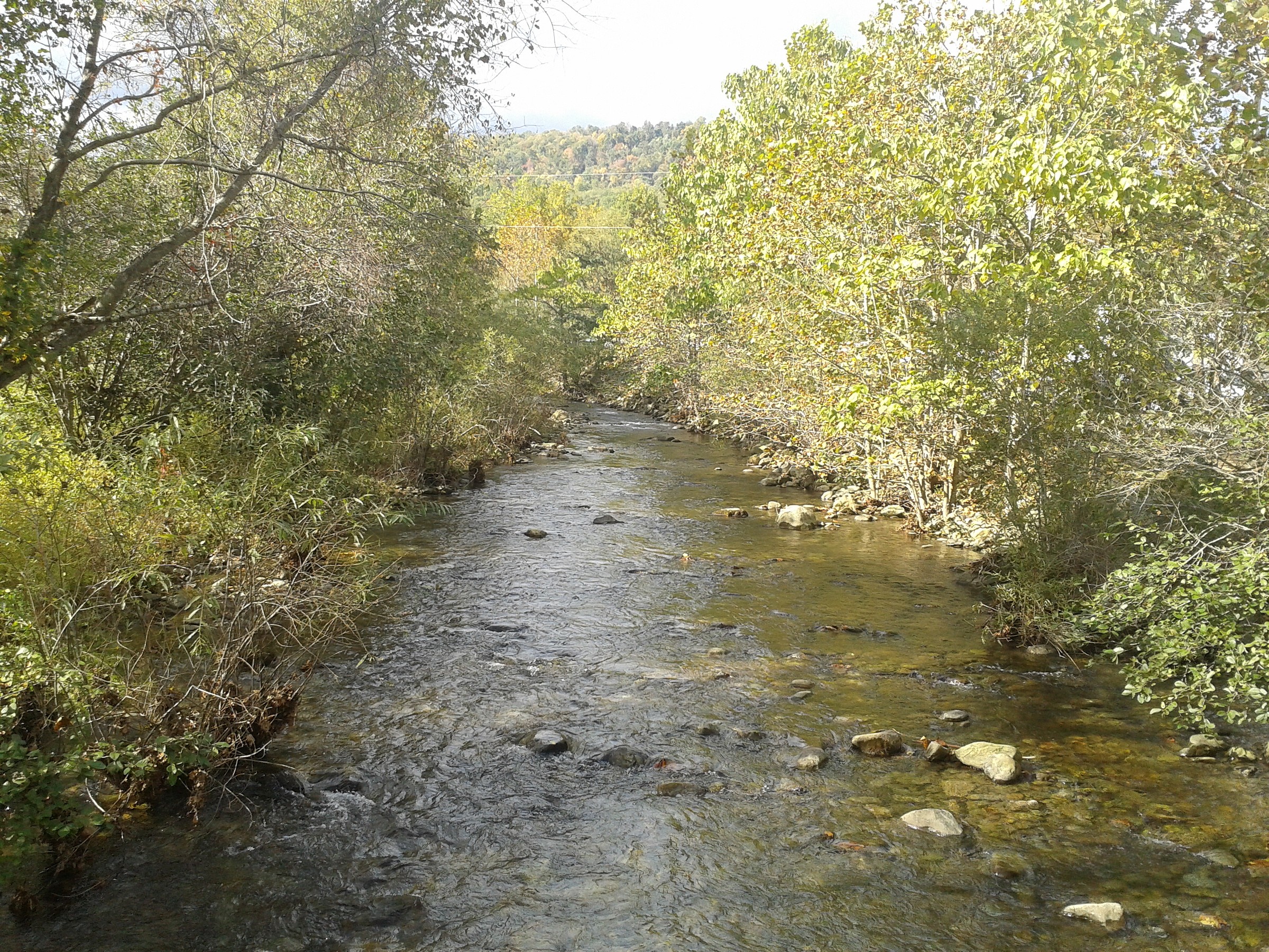 Rose River | Natural Atlas