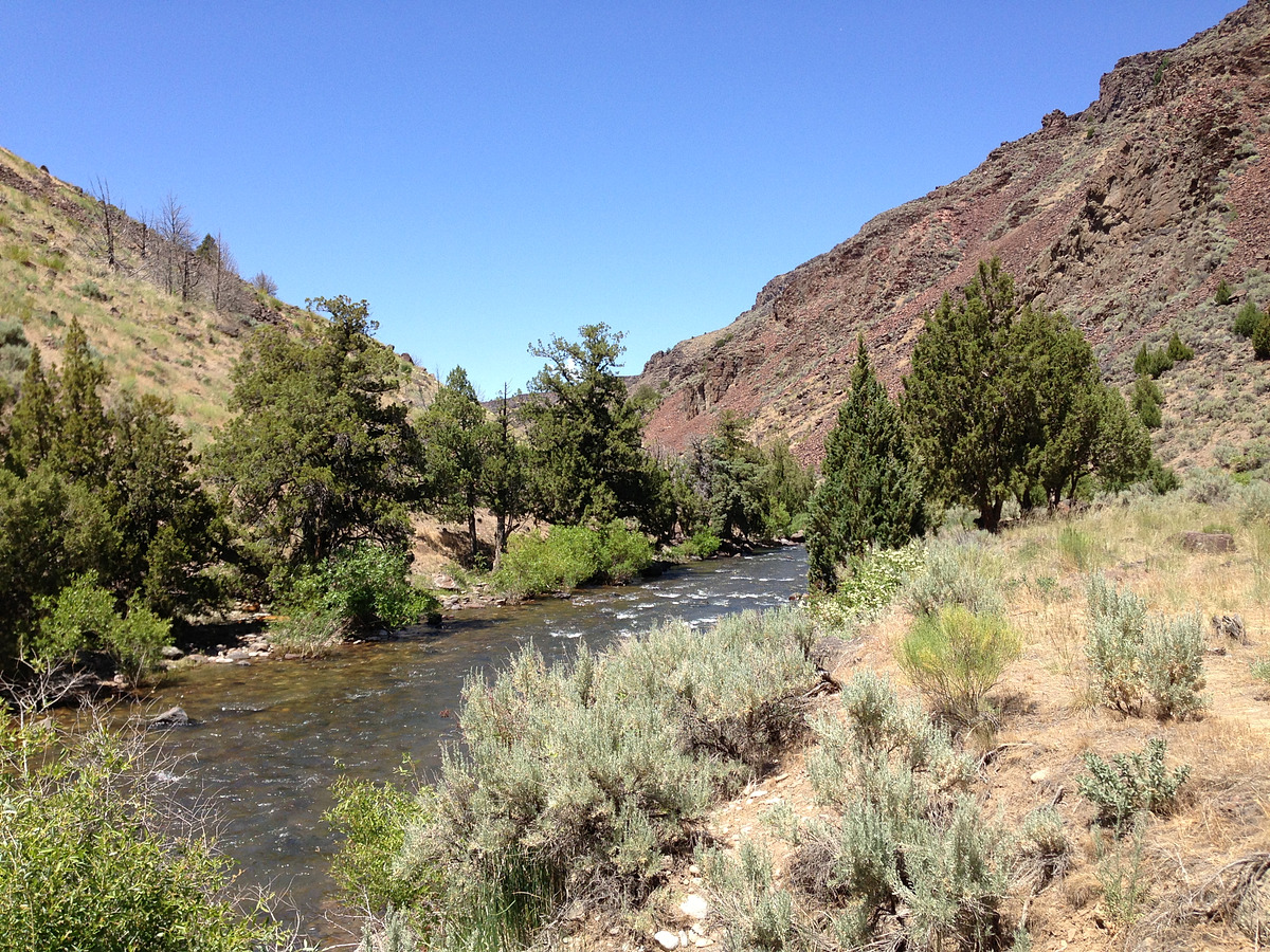 Jarbidge Wilderness Map, NV – Natural Atlas