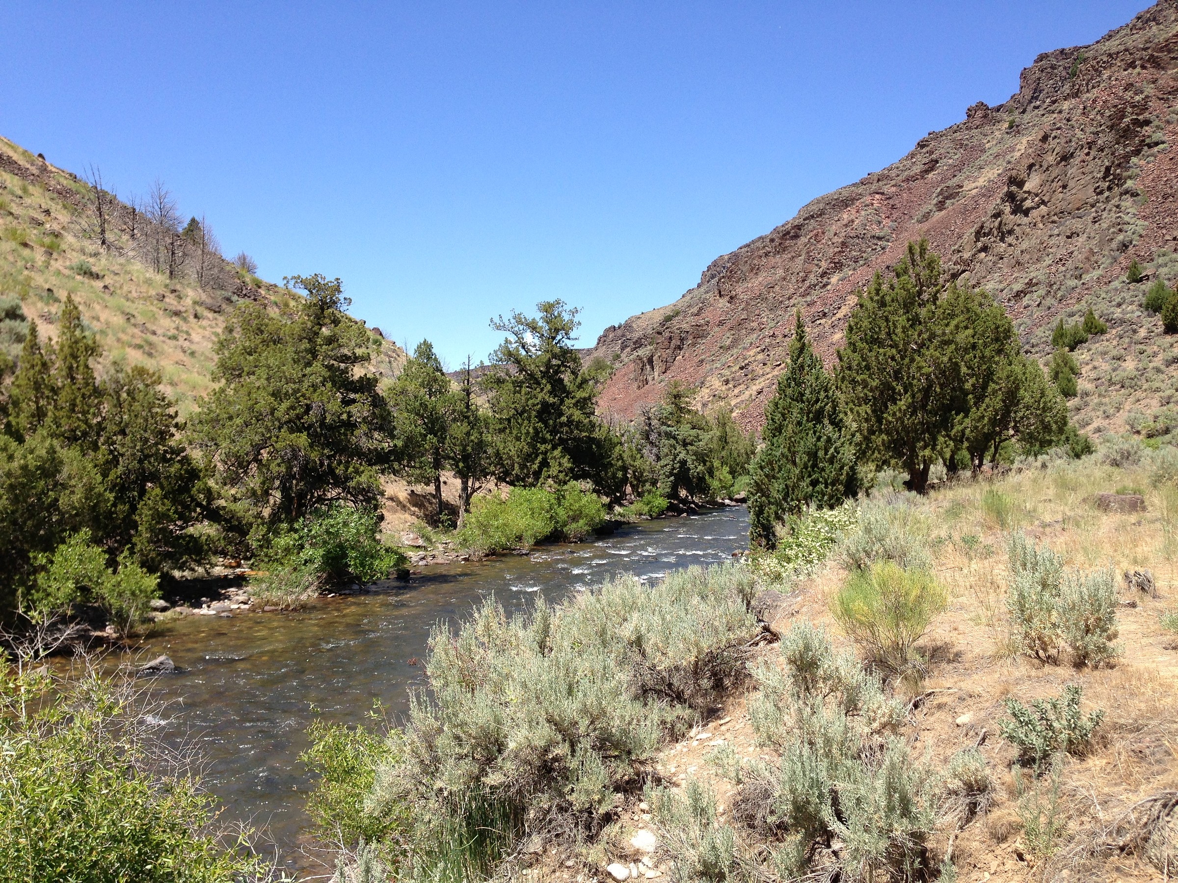 Jarbidge River | Natural Atlas