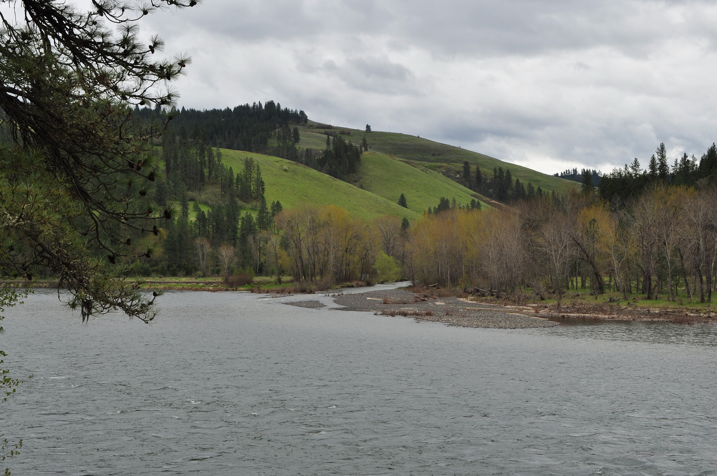 South Fork Clearwater River | Natural Atlas