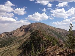 Jarbidge Wilderness Map, NV – Natural Atlas