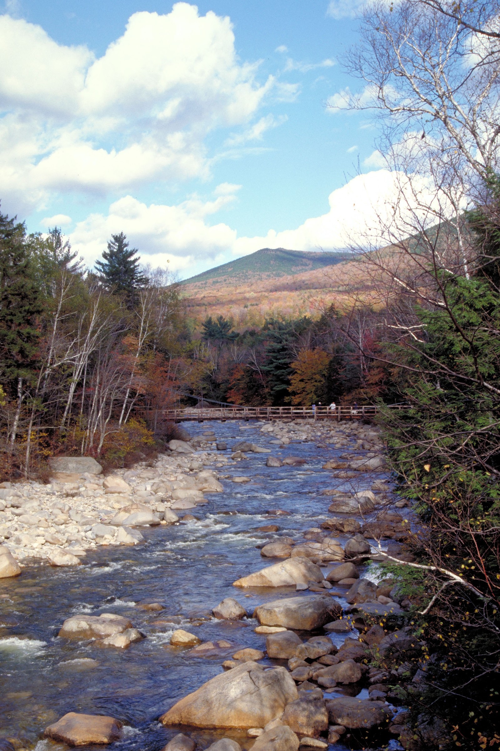 Pemigewasset River | Natural Atlas