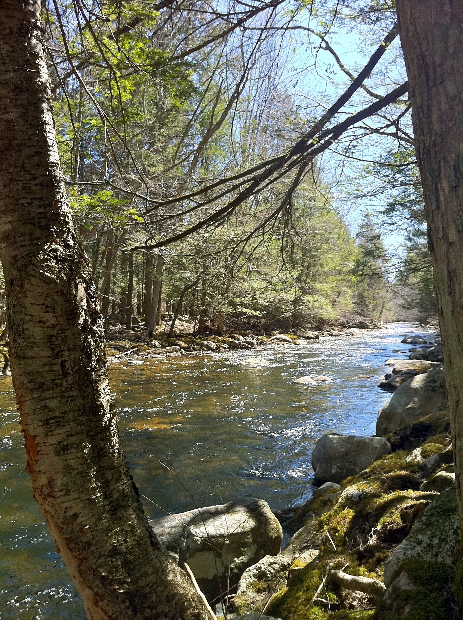 Natchaug River | Natural Atlas