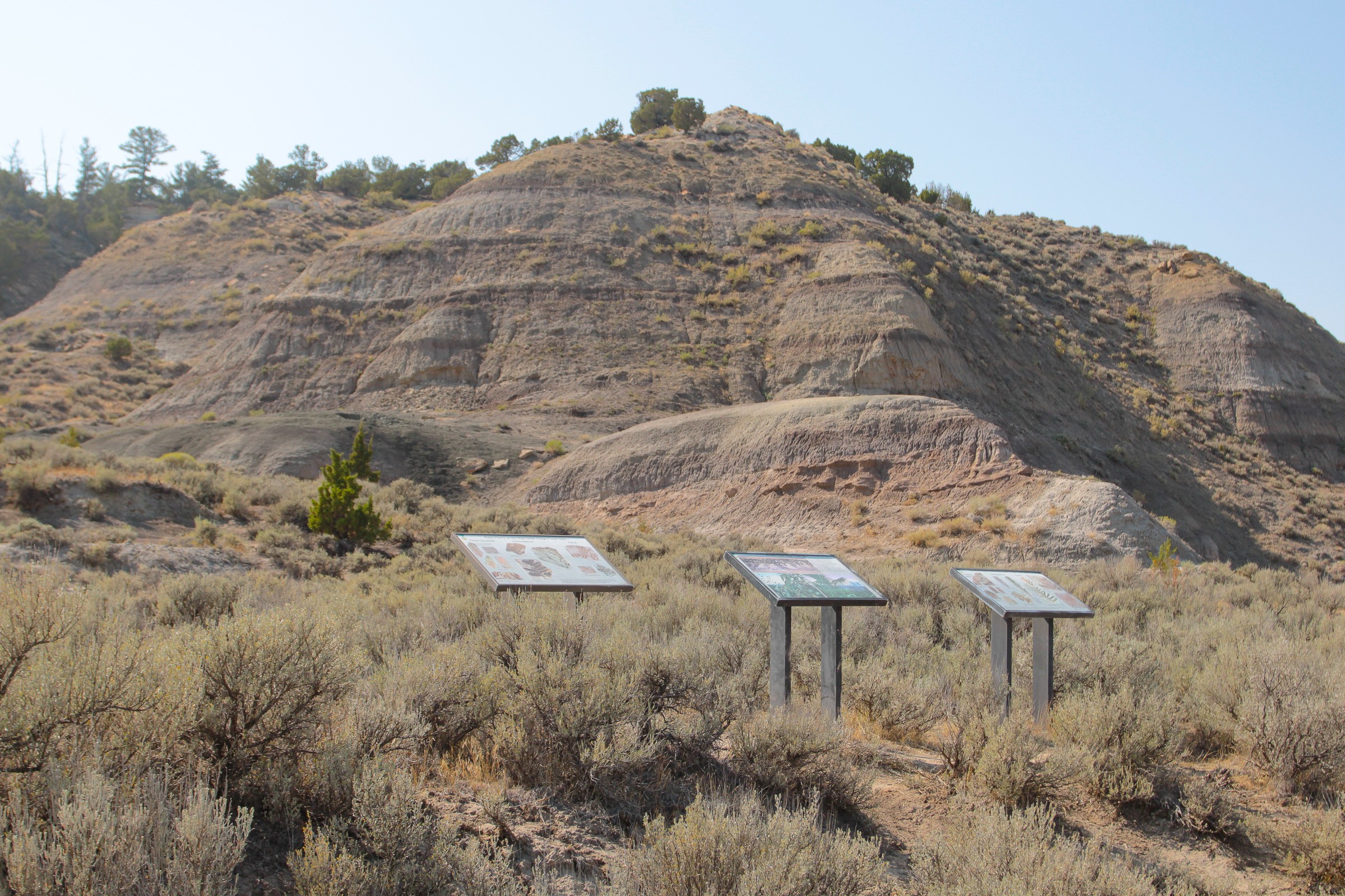 Big Cedar Ridge Fossil Plant Area | Natural Atlas