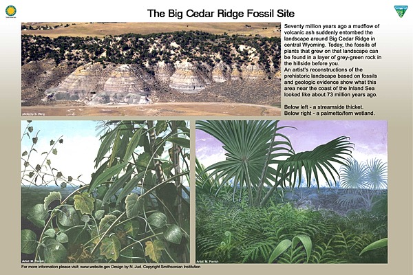 Big Cedar Ridge Fossil Plant Area | Natural Atlas