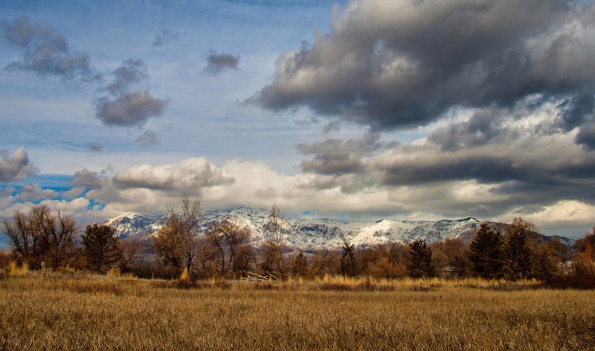 Structures | Natural Atlas