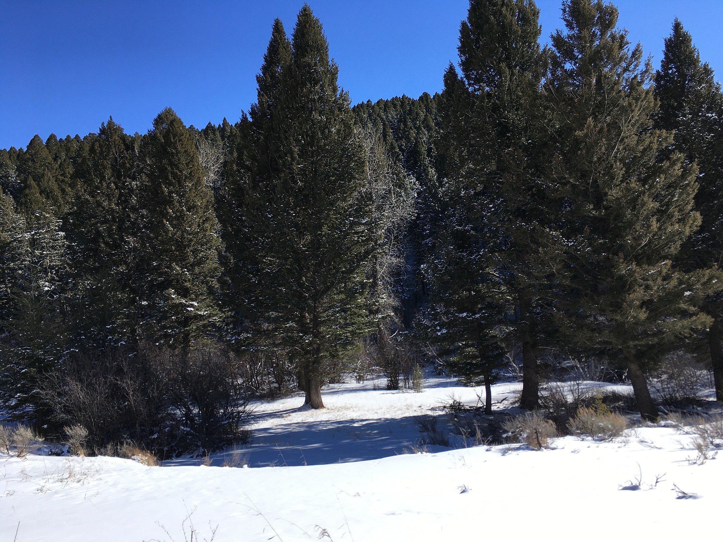 Geographic Places | Natural Atlas