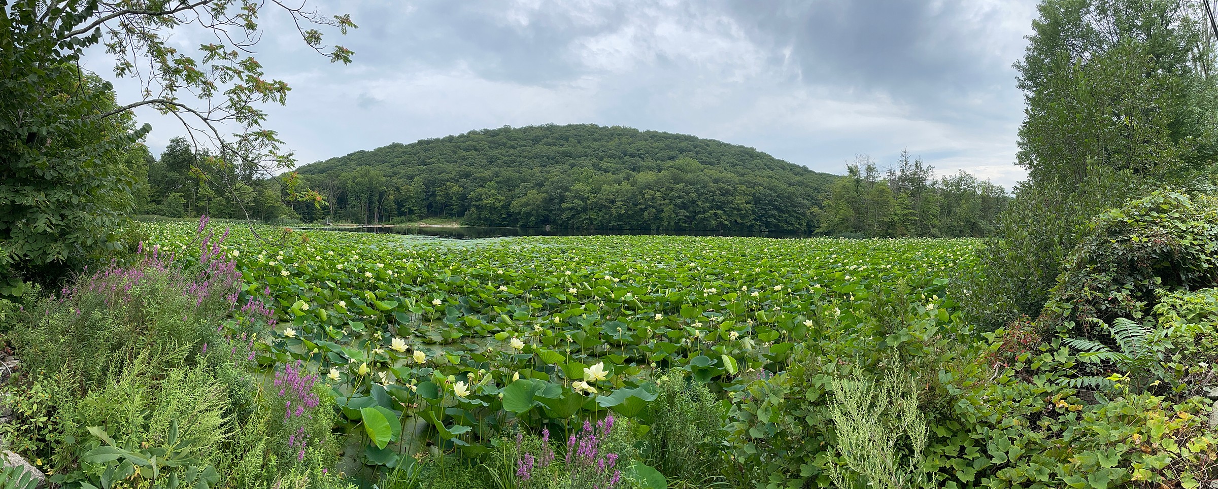 Geographic Places | Natural Atlas