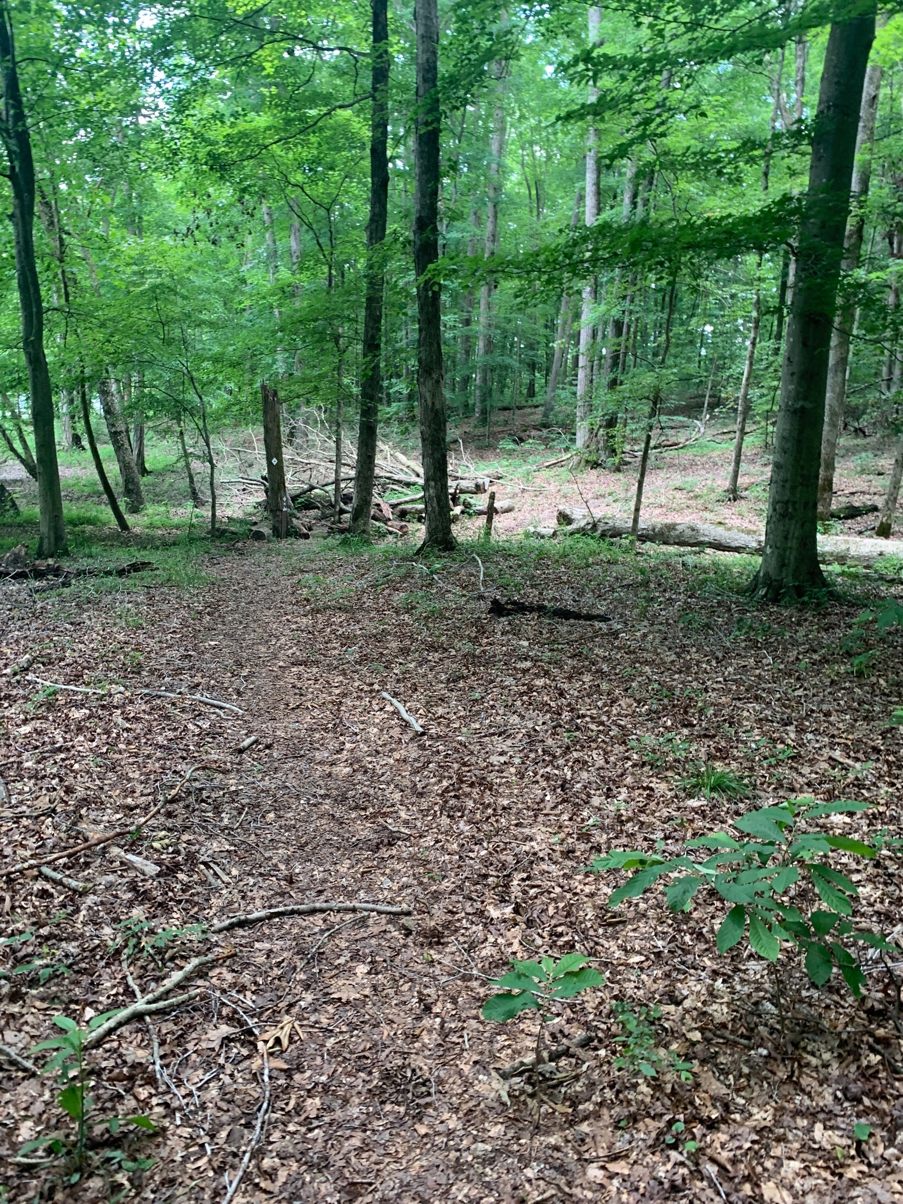 Camping Areas | Natural Atlas