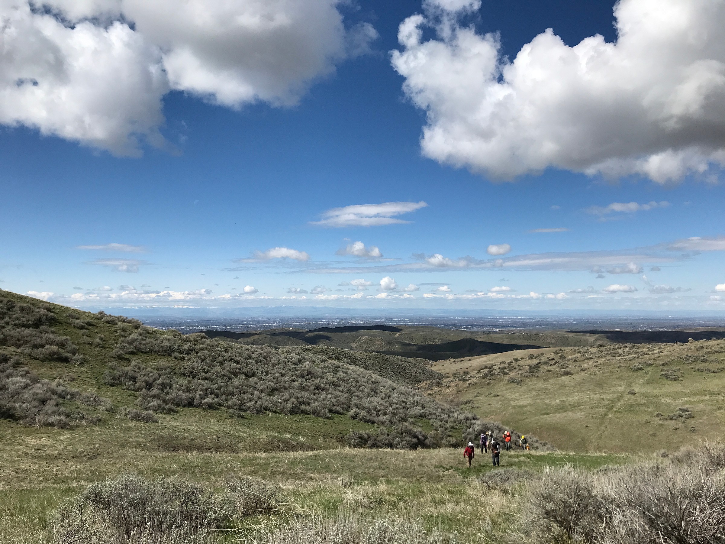 Parks | Natural Atlas