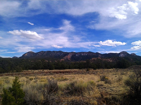 Cibola National Forest Map – Natural Atlas