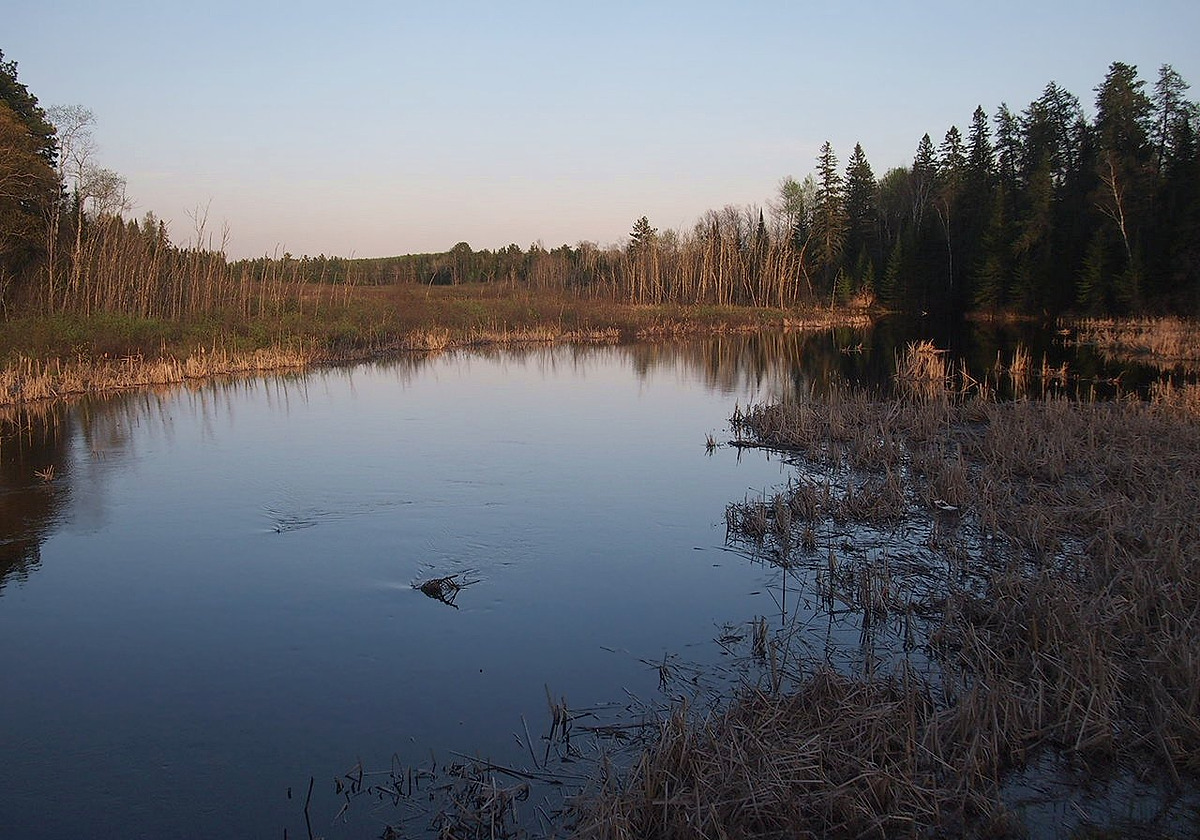 Sturgeon River | Natural Atlas