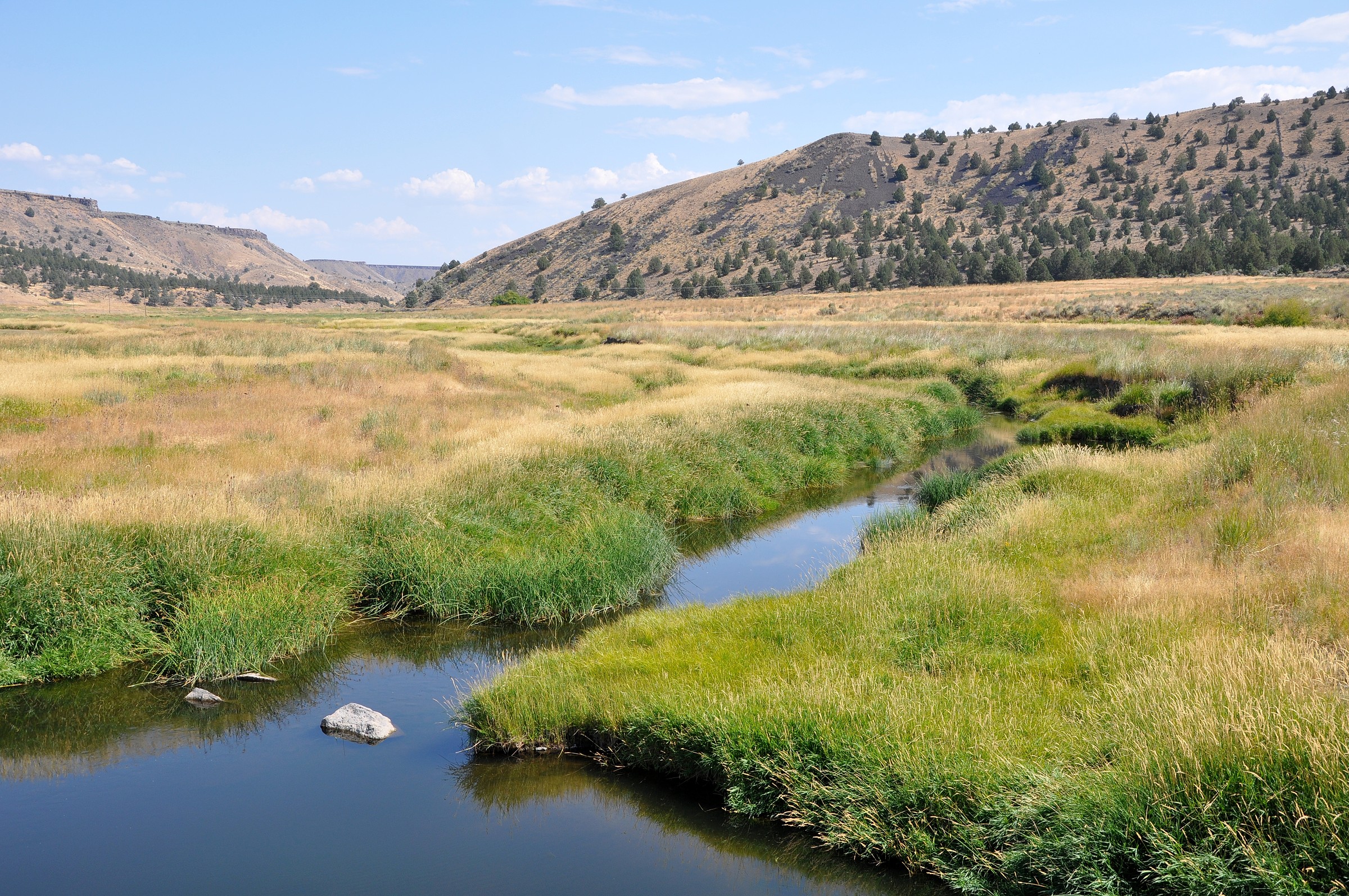 South Fork Crooked River | Natural Atlas