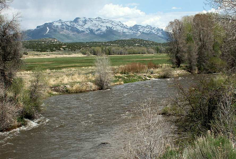 South Fork State Recreation Area Map, NV – Natural Atlas